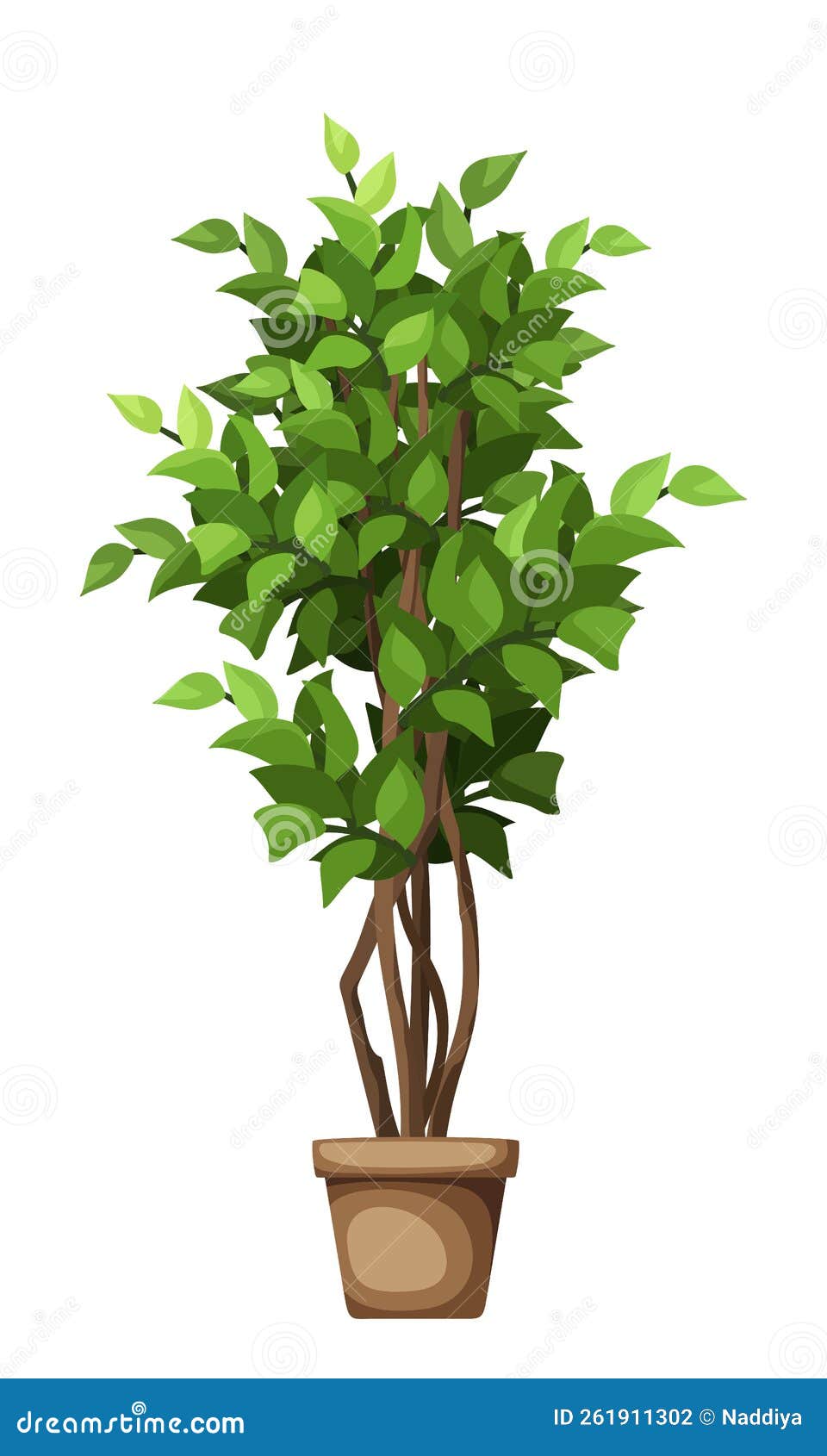 Green Ficus Tree Houseplant In A Pot Vector Illustration Stock Vector Illustration Of Botany
