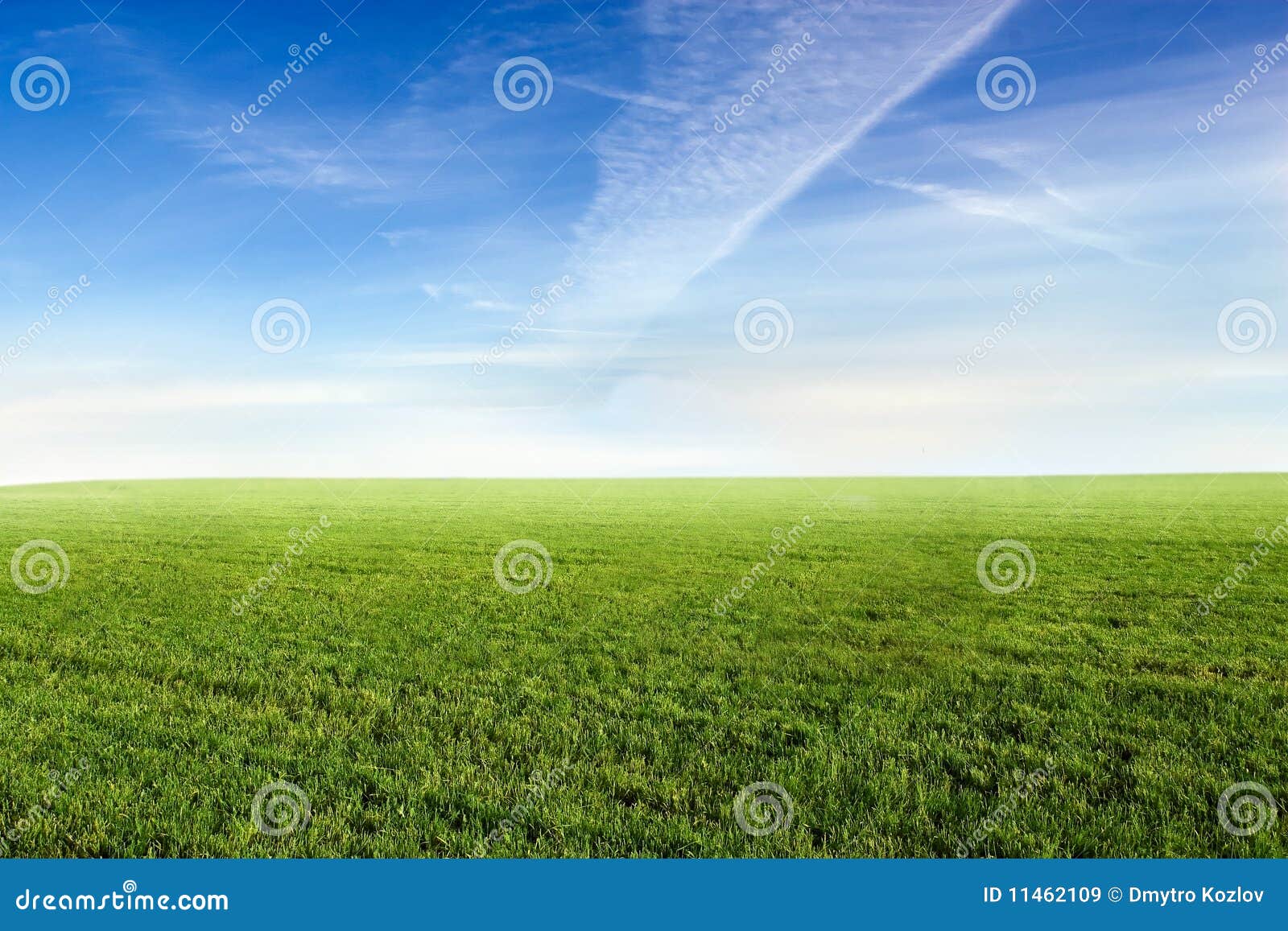 Green field stock image. Image of clear, park, foliage - 11462109