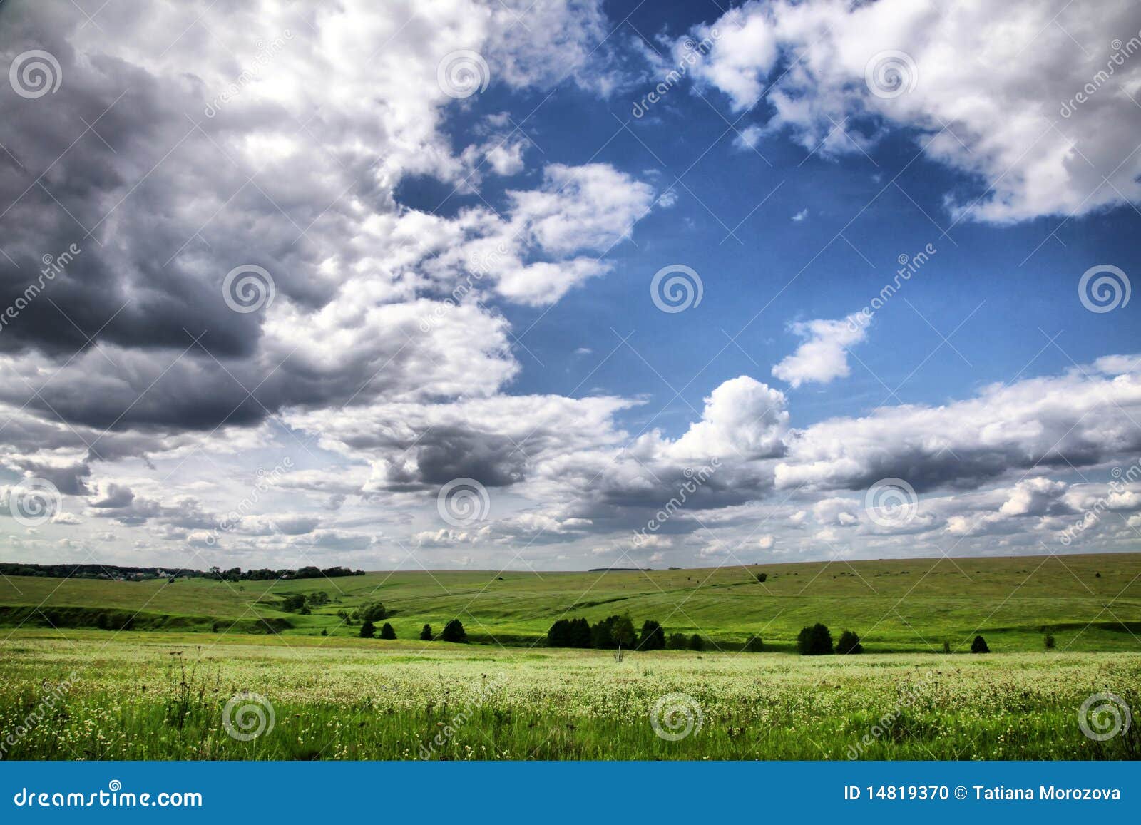 Green field stock photo. Image of natural, clean, idyll - 14819370