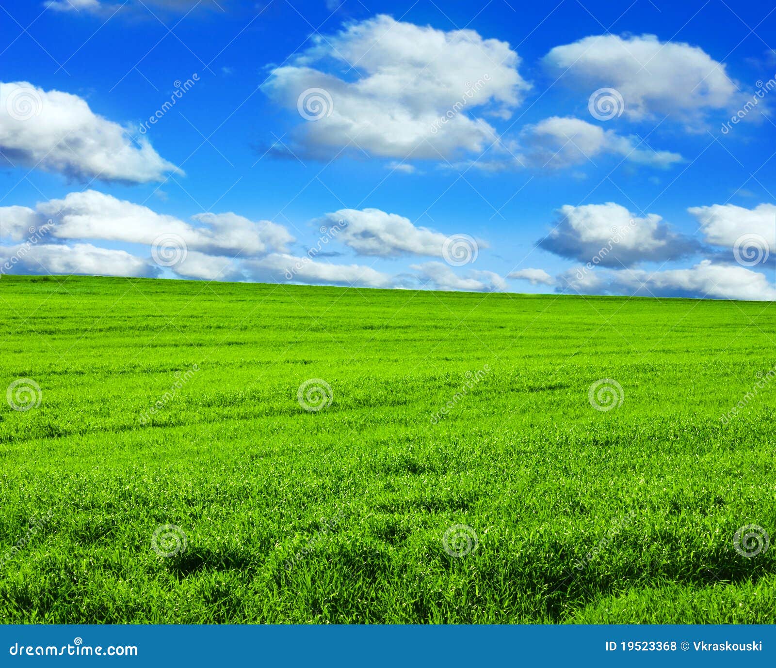 Green field stock photo. Image of color, environment - 19523368