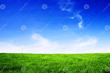 Green field stock image. Image of calm, horizon, country - 2657769