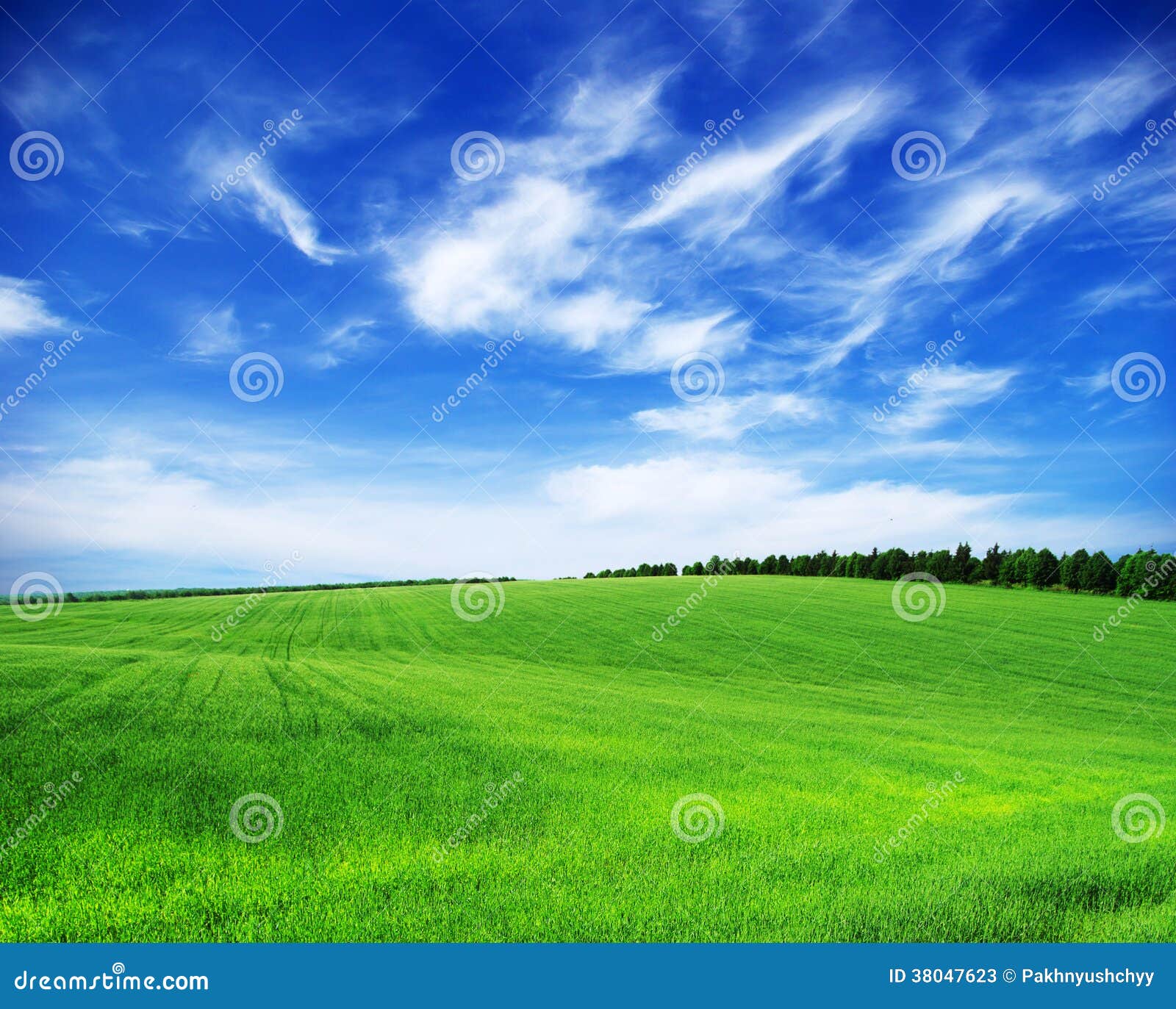 Green field stock image. Image of beautiful, farm, heavens - 38047623