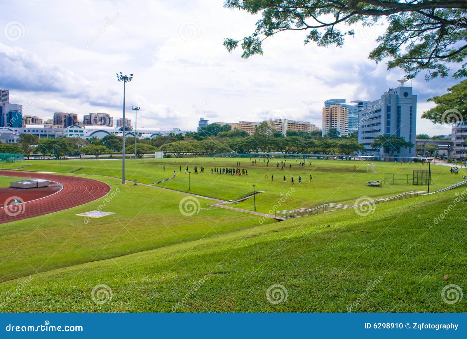 Green Field stock photo. Image of natural, environment - 6298910