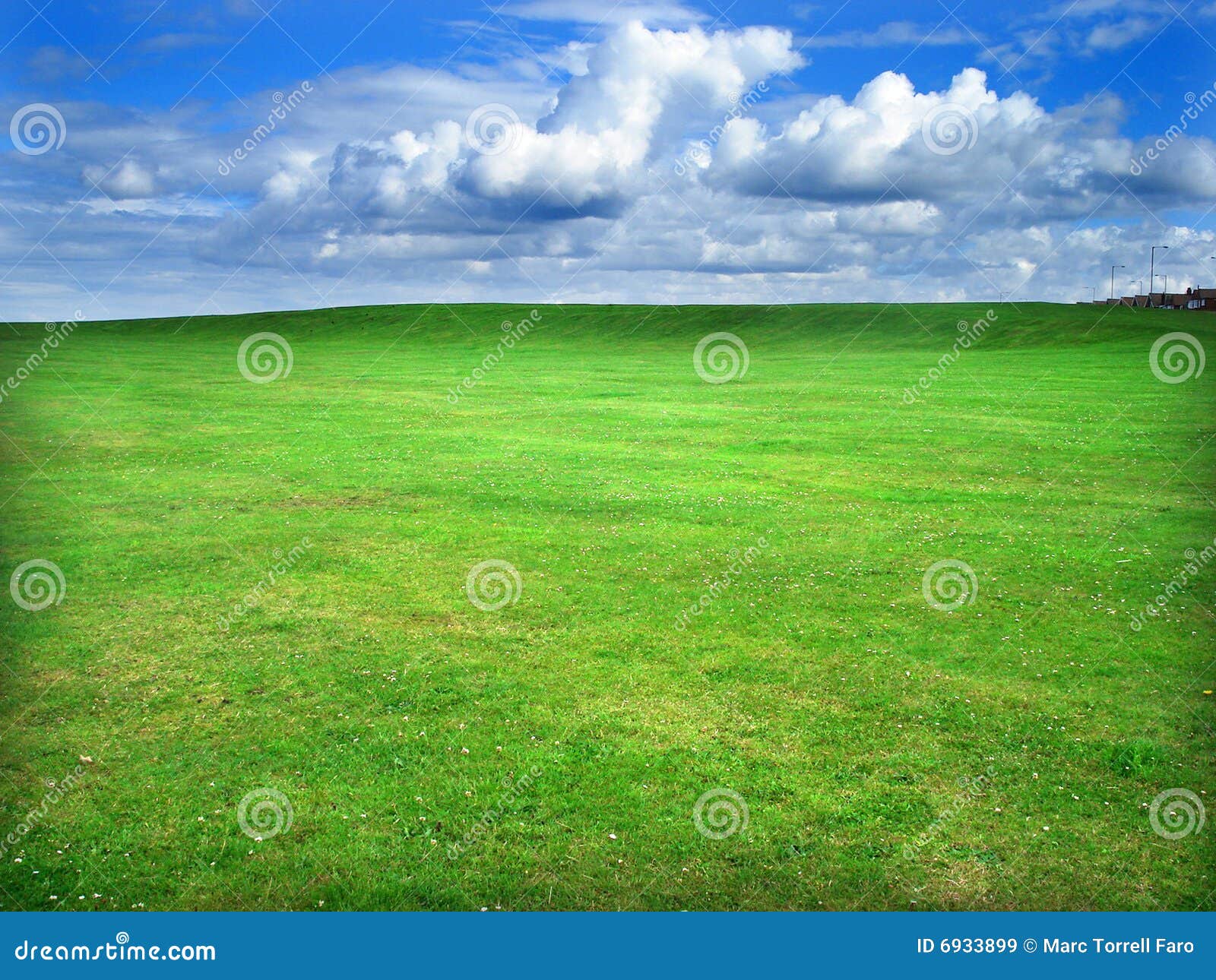 Green field stock image. Image of natural, plant, garden - 6933899