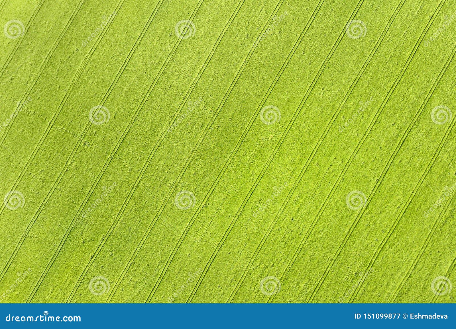 Green Field Aerial Texture and Background Stock Image - Image of ...