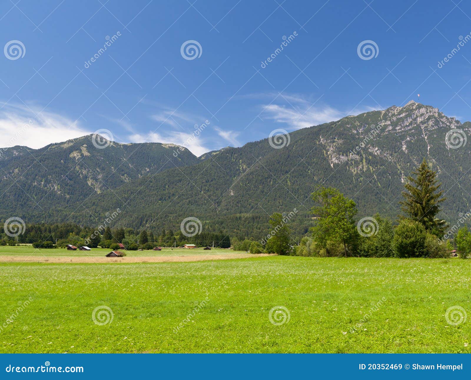 Green field in the alps stock image. Image of spring - 20352469