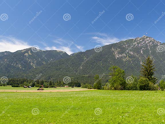 Green field in the alps stock image. Image of spring - 20352469