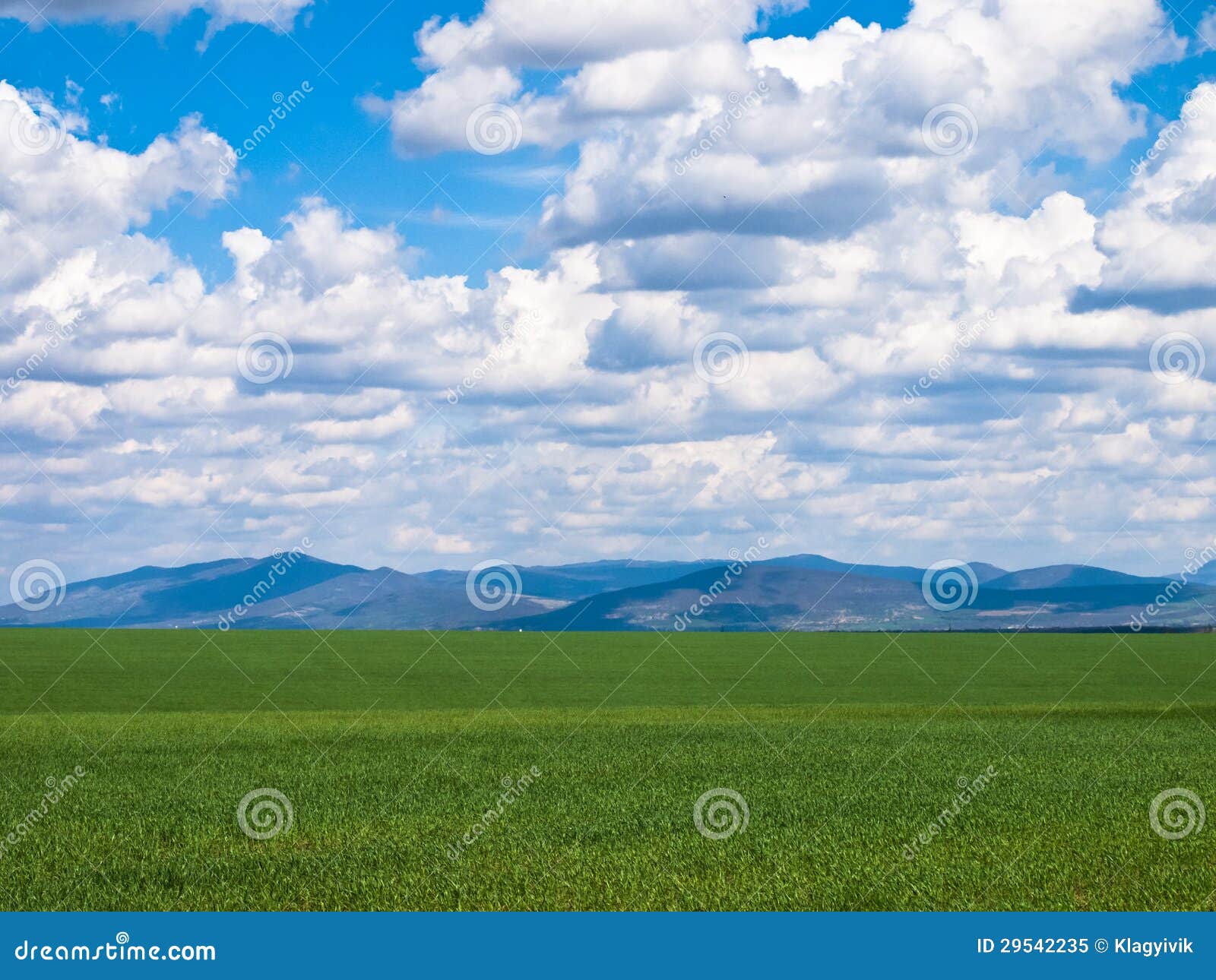 Green field background stock image. Image of pasture - 29542235