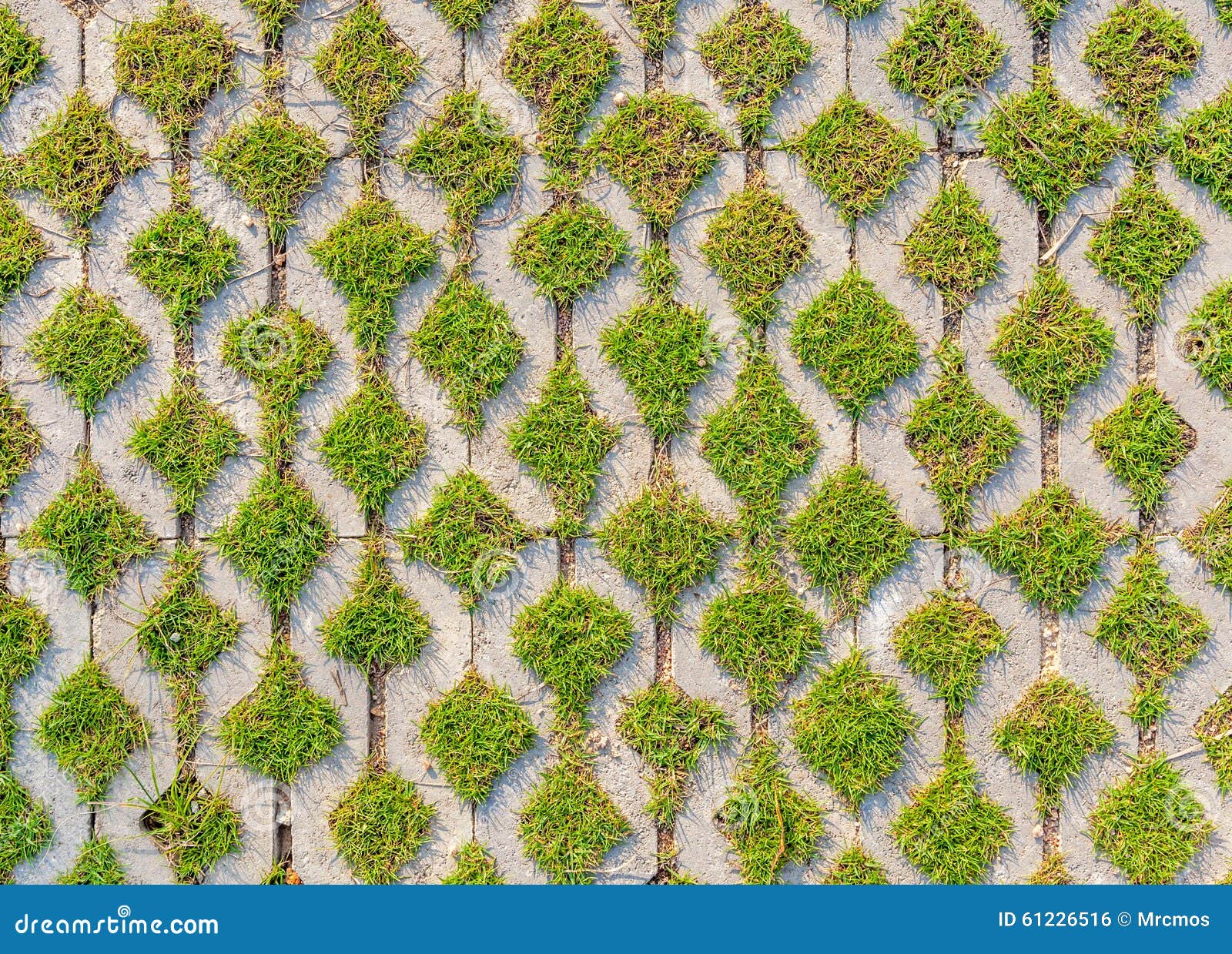Green Field Background in Textured Concrete on Pathway. Stock Photo ...