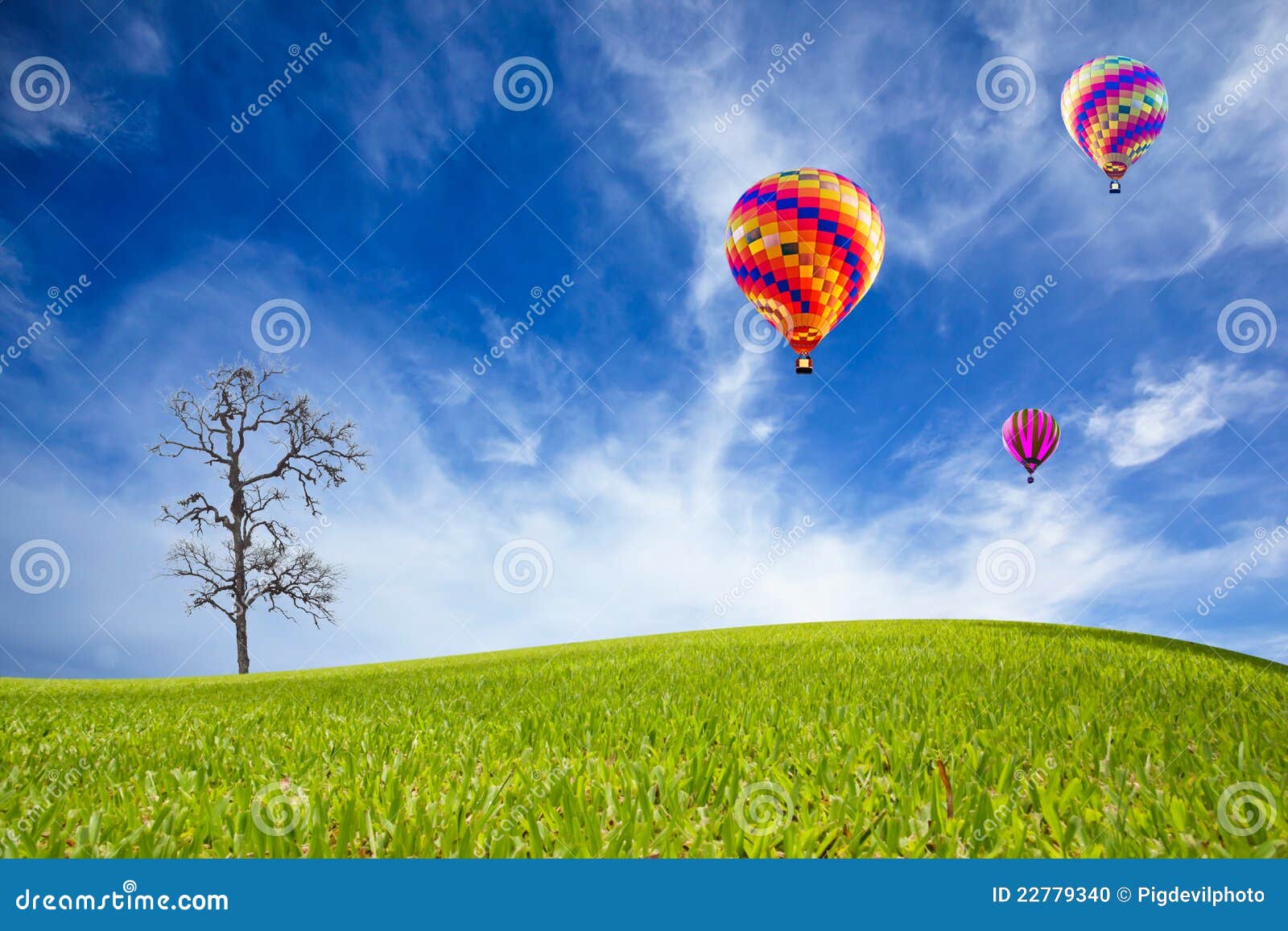 Green field and balloon stock photo. Image of colorful - 22779340