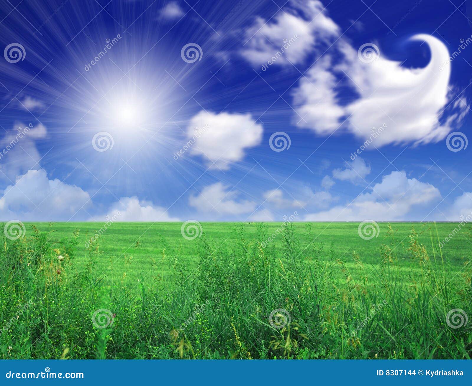 Green field beautiful stock photo. Image of cloudscape - 8307144