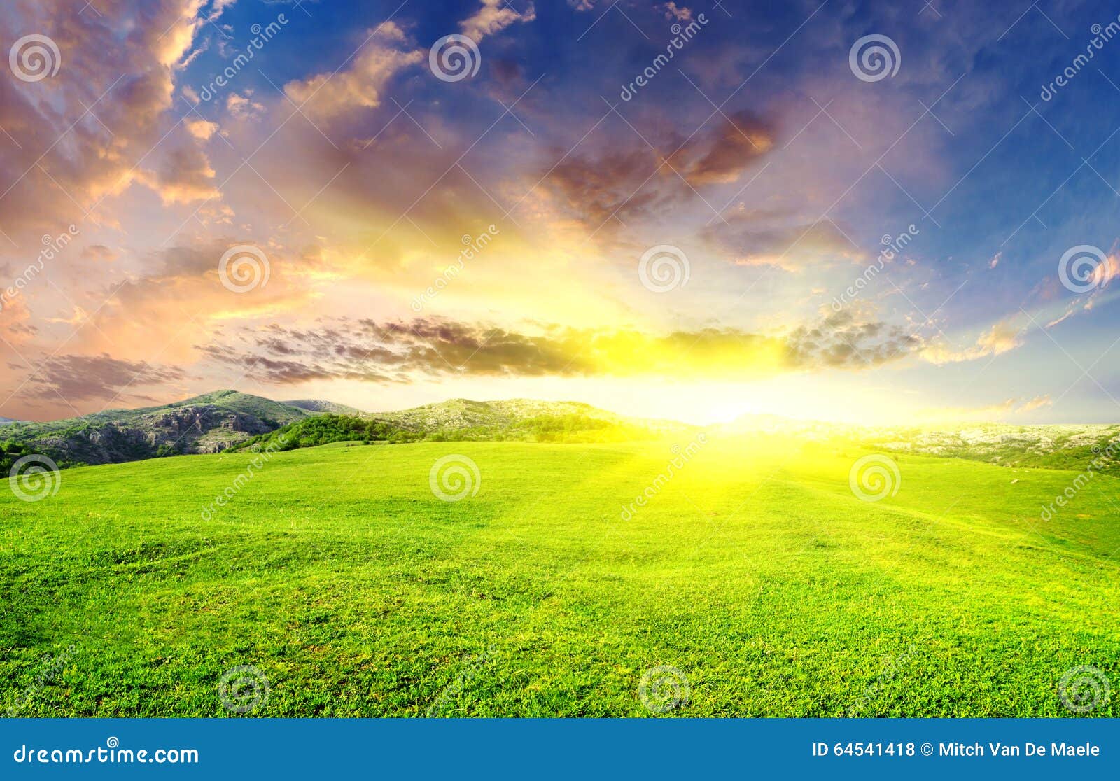 Green field stock photo. Image of tree, field, beautiful - 64541418