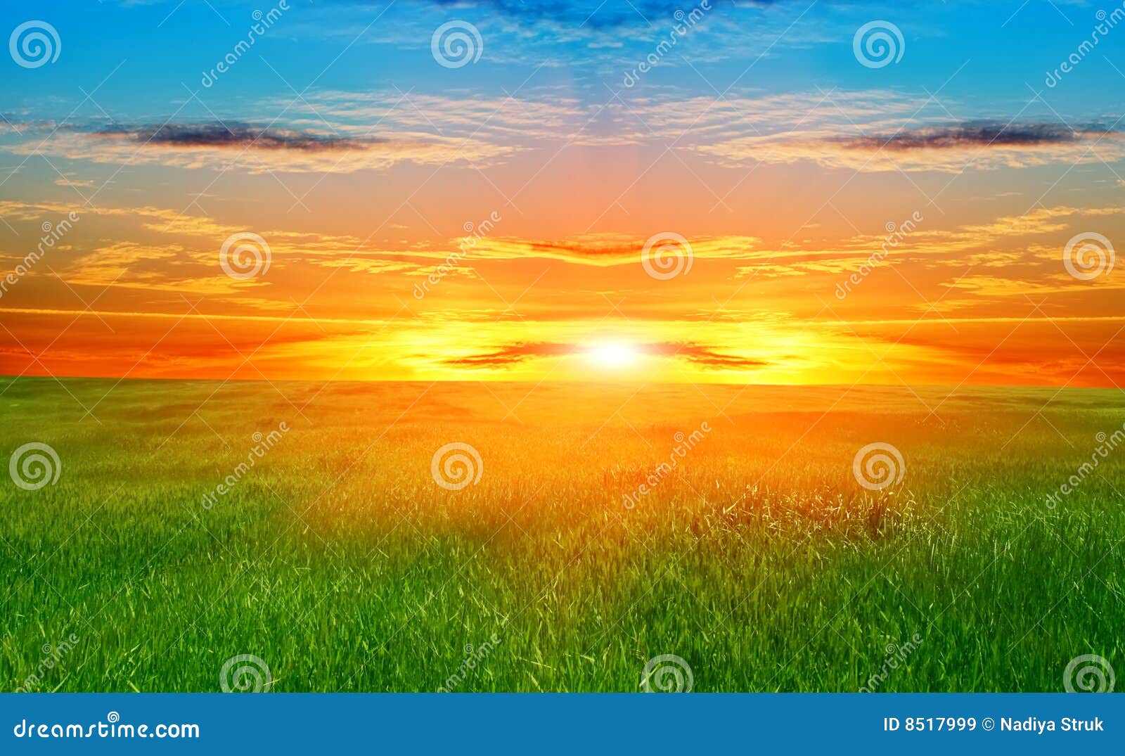 Green Field and Beautiful Sunset Stock Image - Image of farmland ...