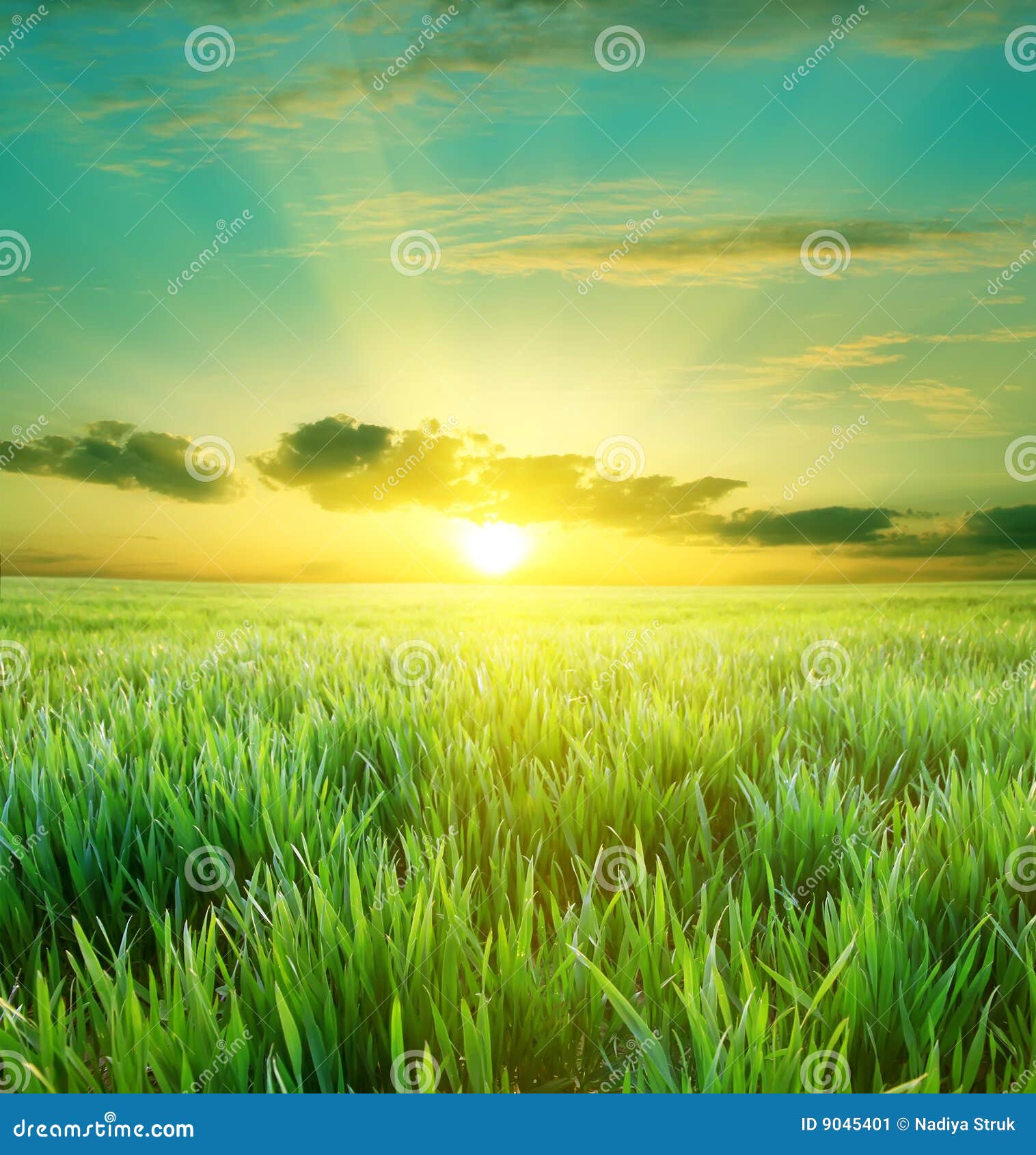 Green Field and Beautiful Sunset Stock Image - Image of bright, green ...