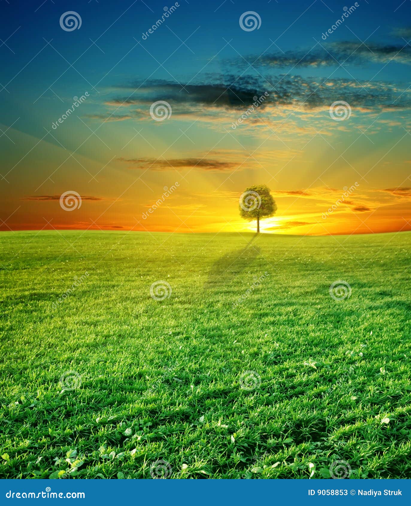 Green Field and Beautiful Sunset Stock Image - Image of cloudy, grow ...