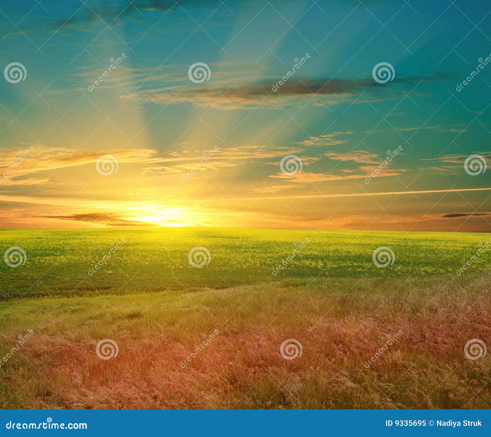 Green Field and Beautiful Sunset Stock Image - Image of lonely ...