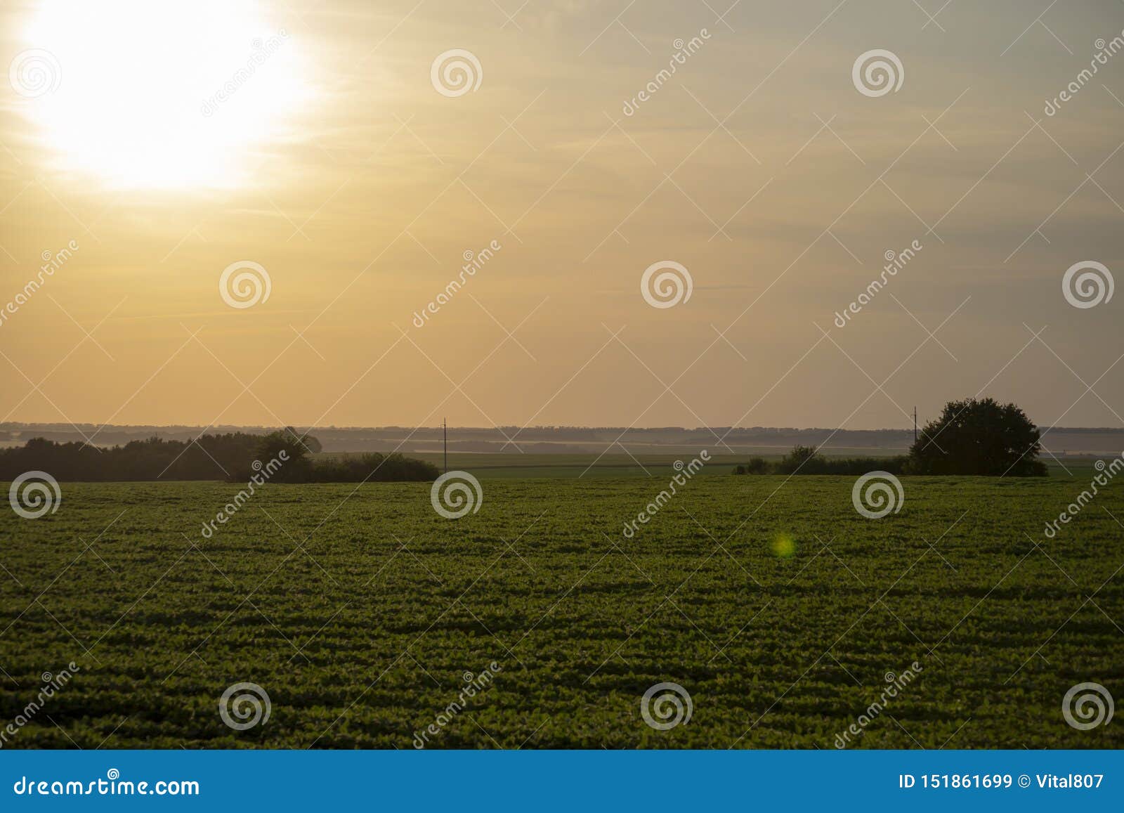 Green Field and Beautiful Sunset Gentle Clouds Stock Image - Image of ...