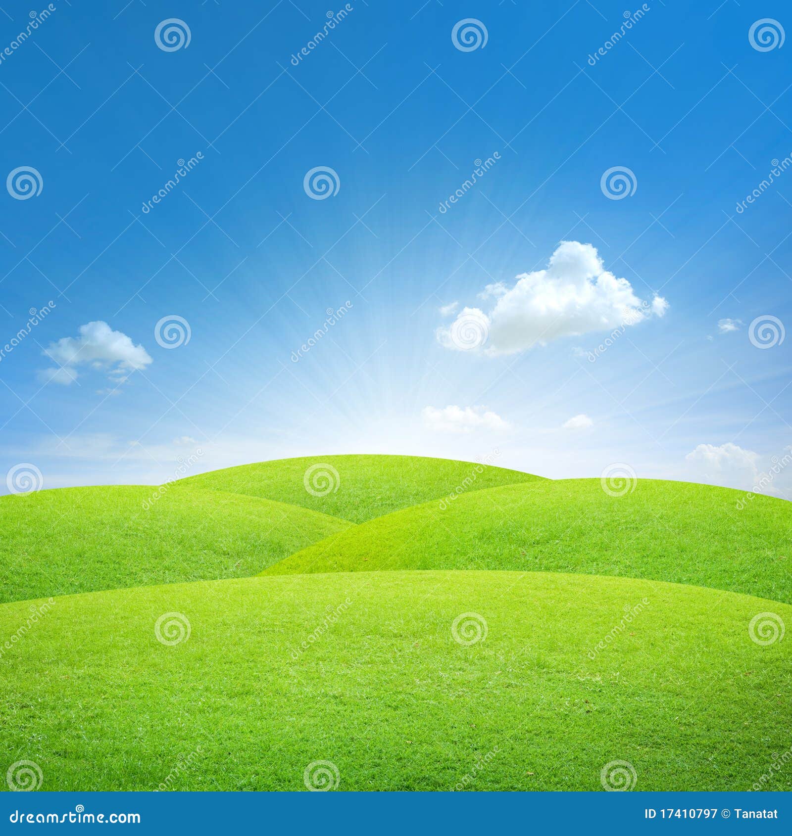 Green field with blue sky stock image. Image of freedom - 17410797