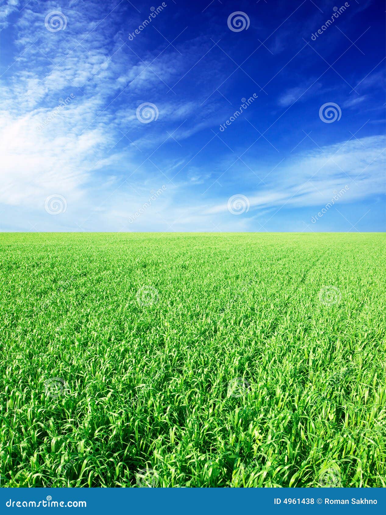 Green field and blue sky stock photo. Image of inspiration - 4961438
