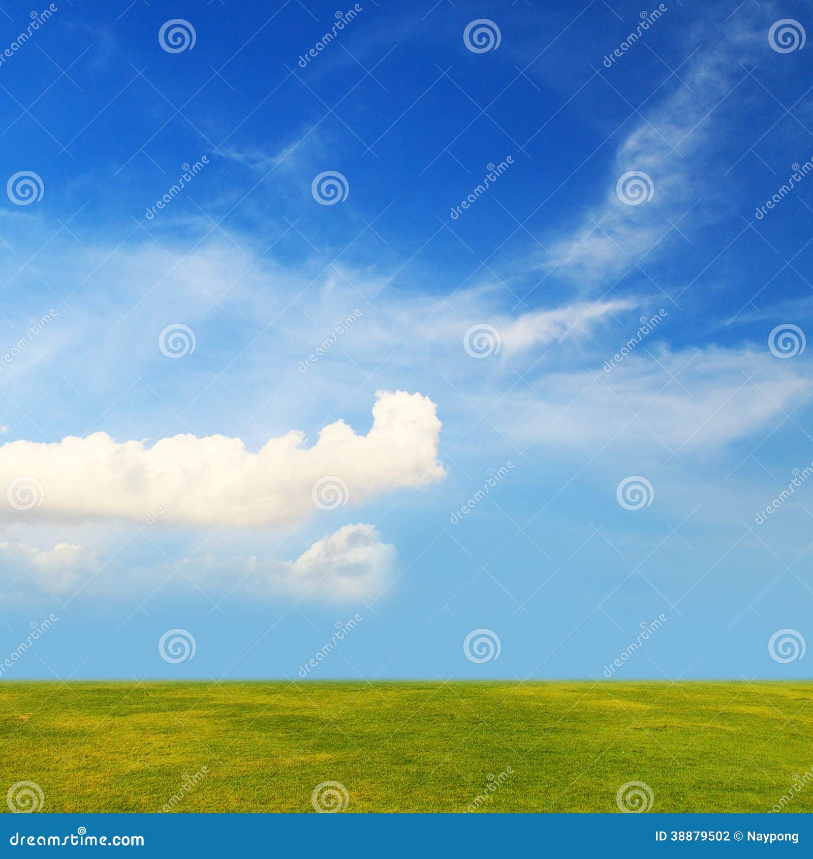 Green field with blue sky stock photo. Image of ecology - 38879502