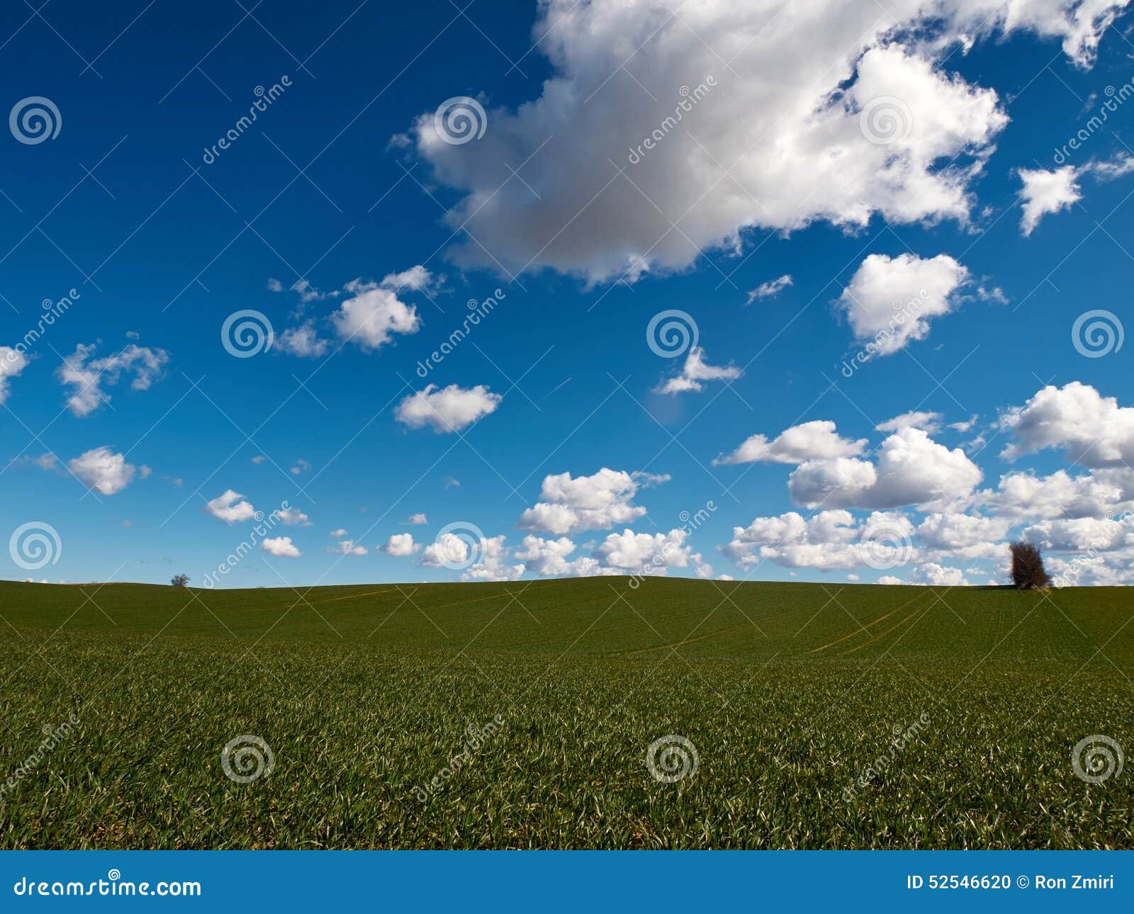 Green field and blue sky stock photo. Image of natural - 52546620