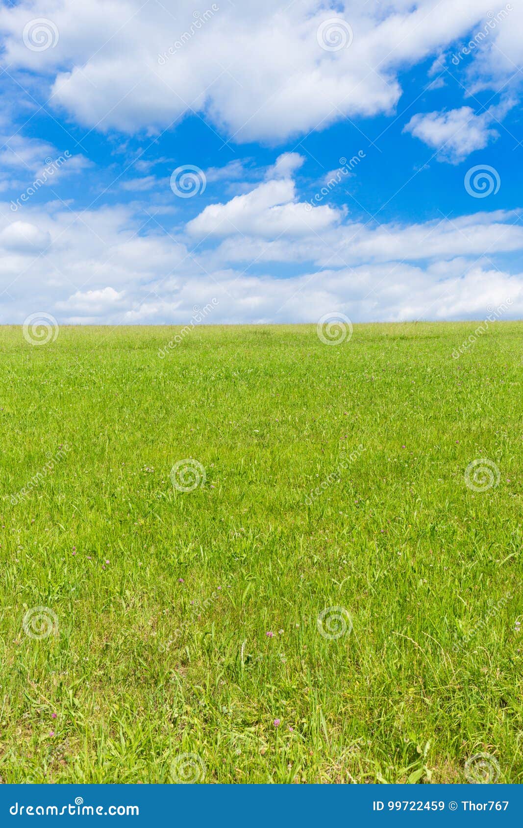 Green Field and Blue Sky with Light Clouds Stock Image - Image of ...