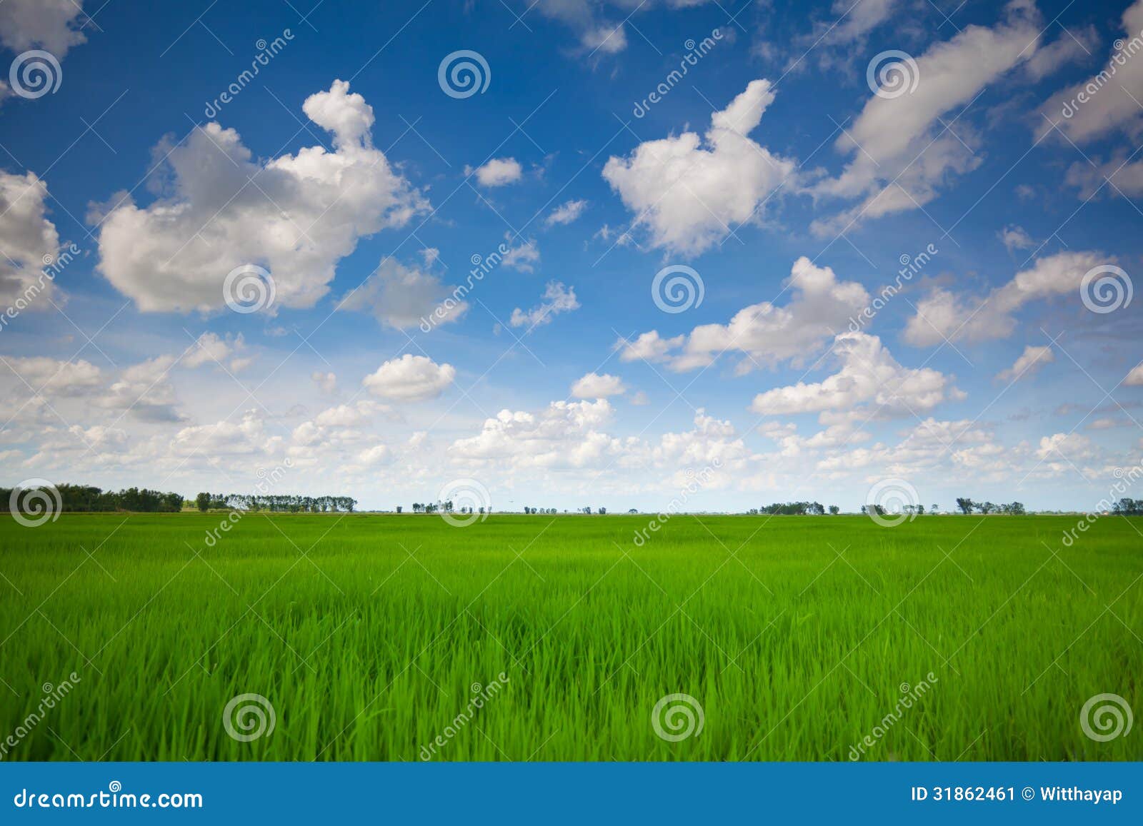 Green field with blue sky stock image. Image of countryside - 31862461