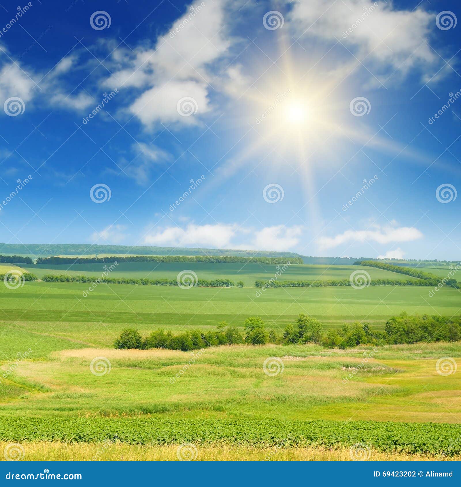 Green field and blue sky stock photo. Image of nature - 69423202
