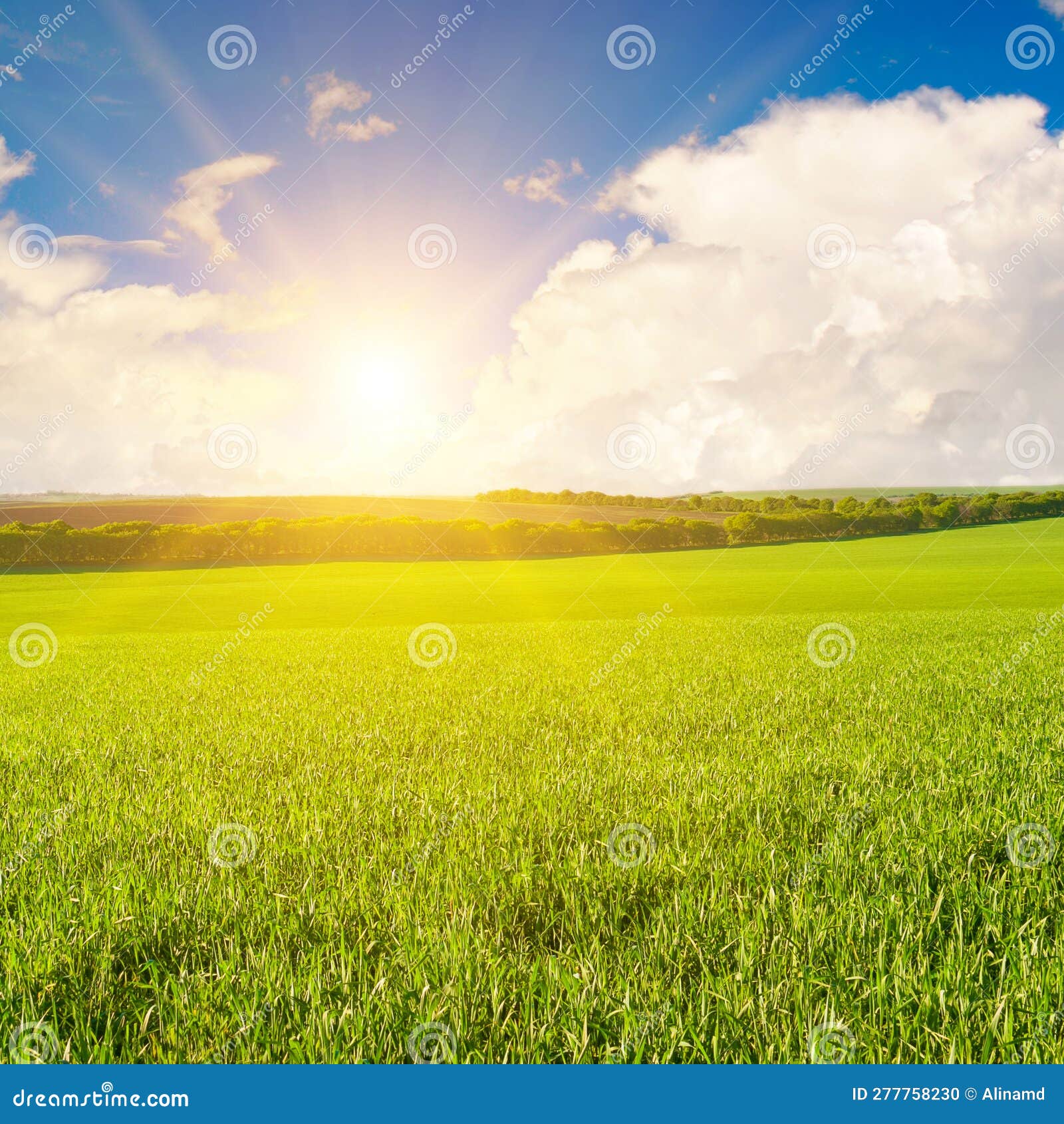 Green Field and Bright Sun Rise Stock Photo - Image of sunset ...