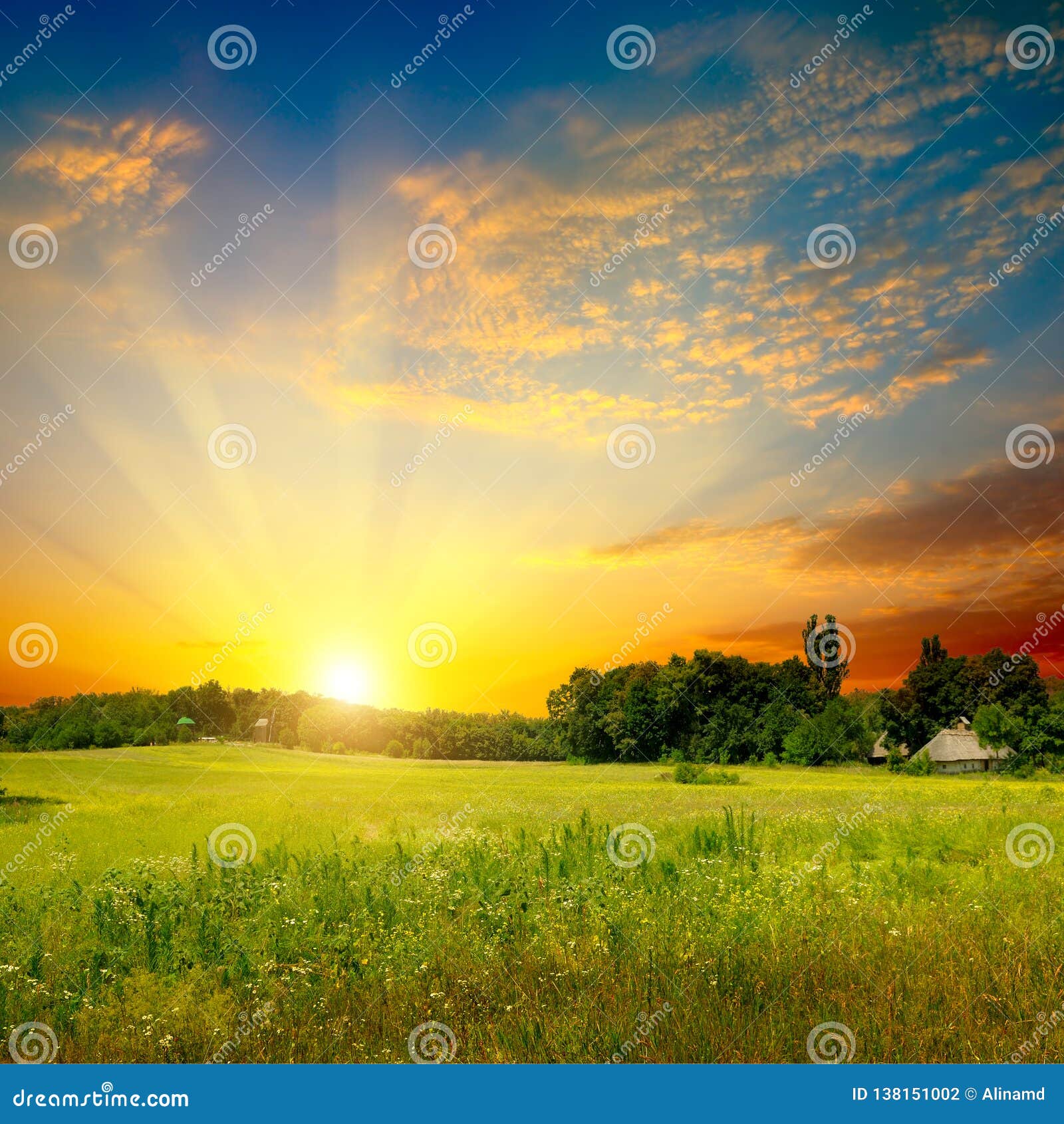 Green Field , Bright Sunset and Blue Sky Stock Photo - Image of ...