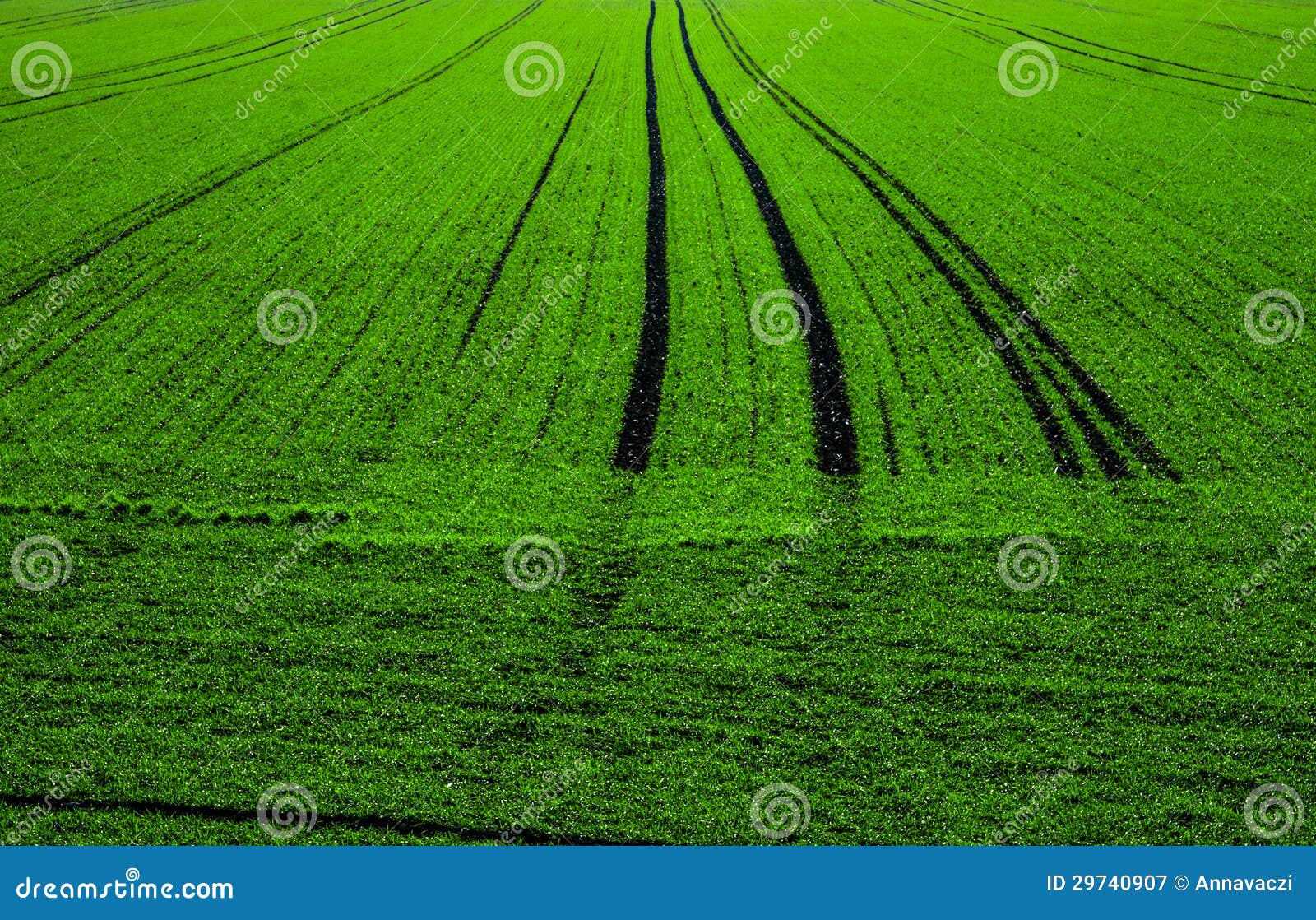 Green field stock image. Image of countryside, land, landscape - 29740907