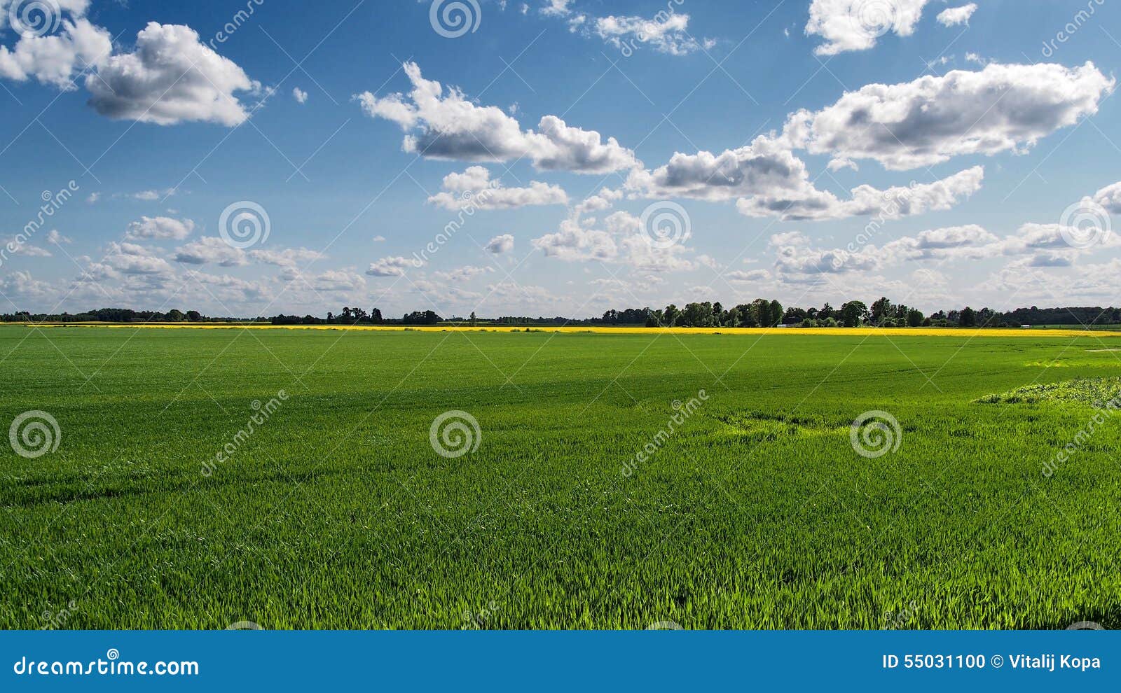Green field stock photo. Image of summer, clody, browse - 55031100