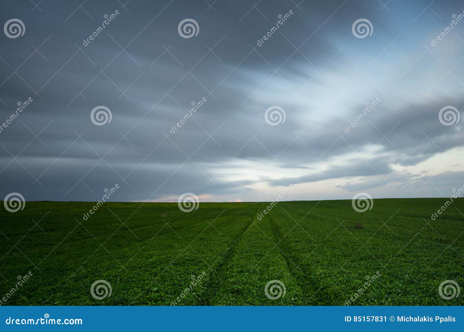 Green field and cloudy sky stock image. Image of freedom - 85157831