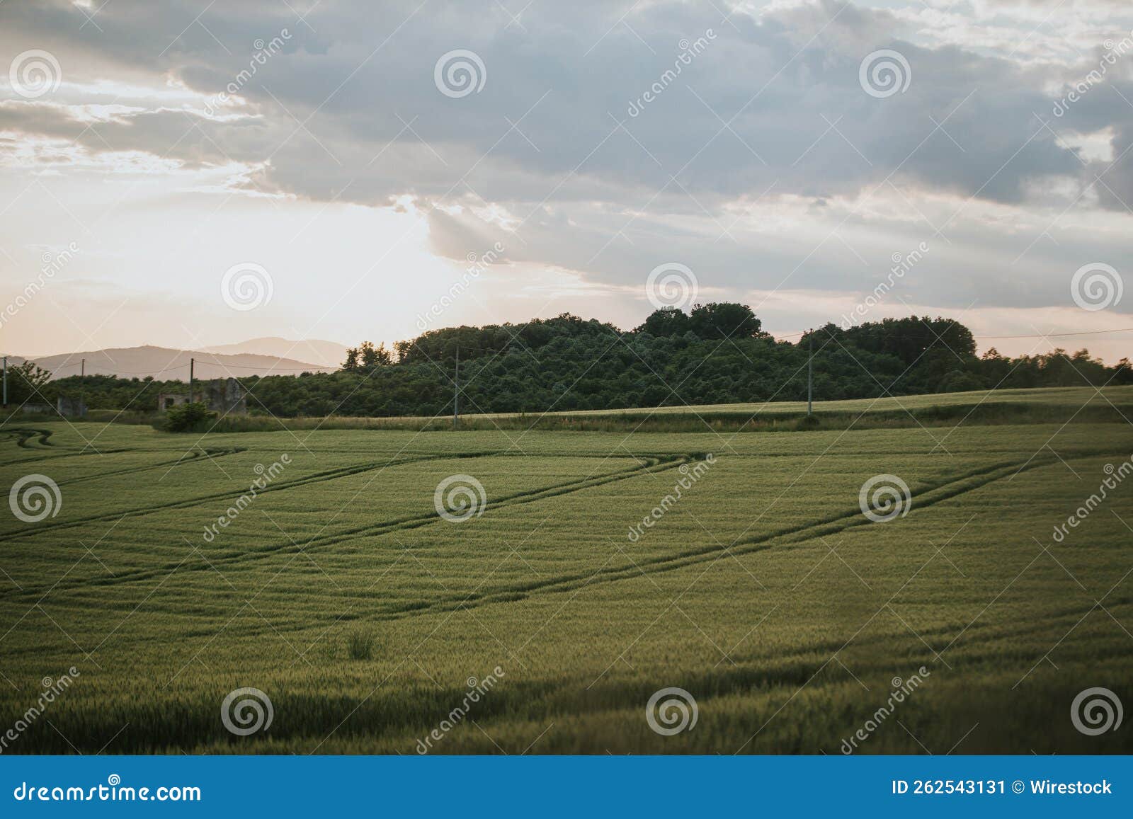 Green Field in the Countryside Stock Image - Image of farmland, green ...