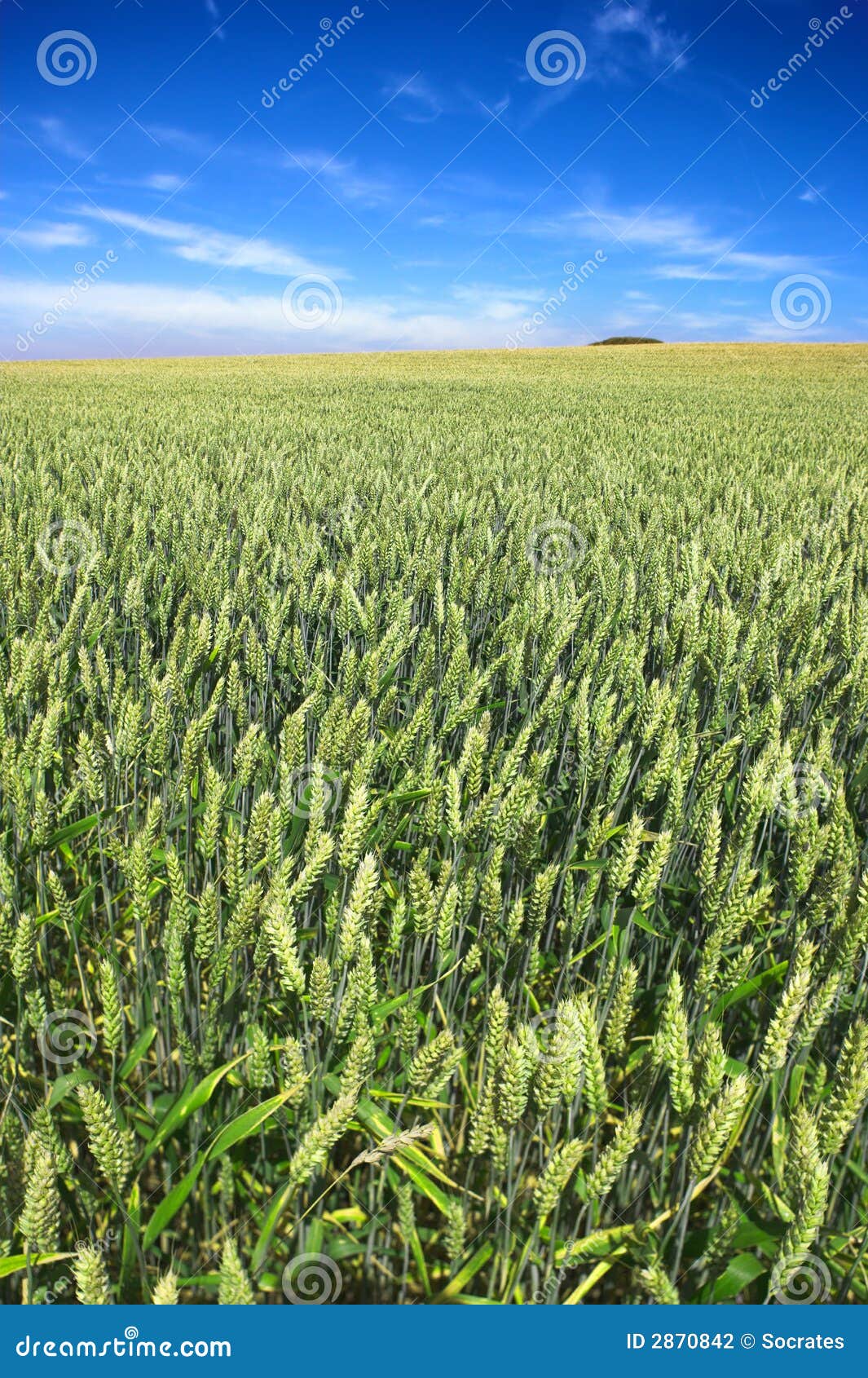 Green field in countryside stock photo. Image of colors - 2870842