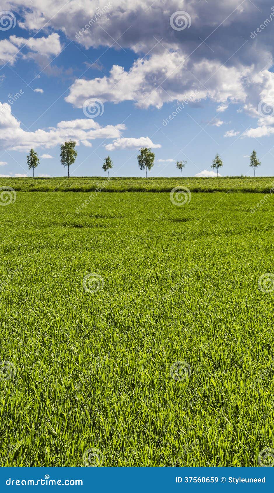 Green field in countryside stock image. Image of nature - 37560659
