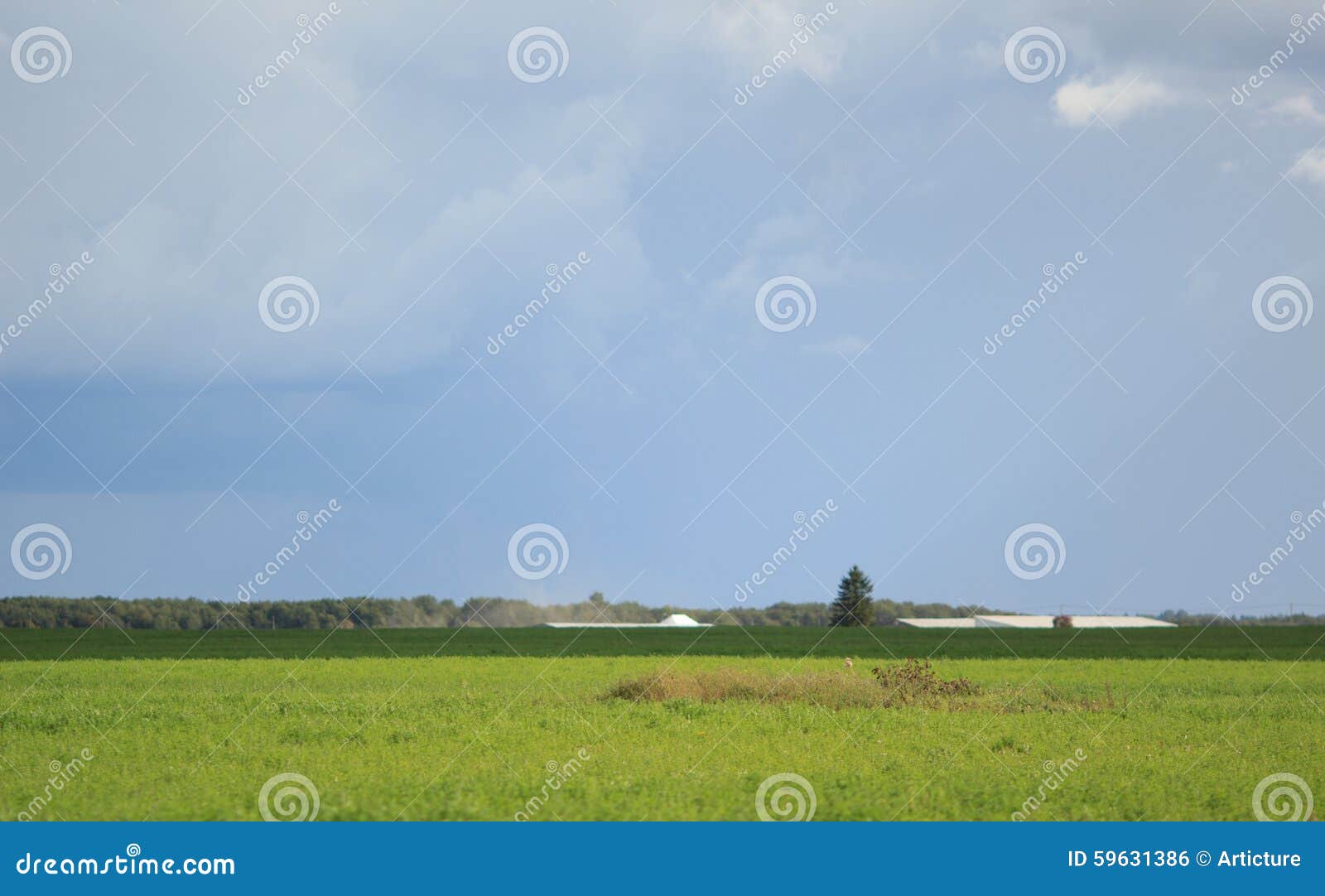 Green Field in the Countryside Stock Photo - Image of horizon, field ...