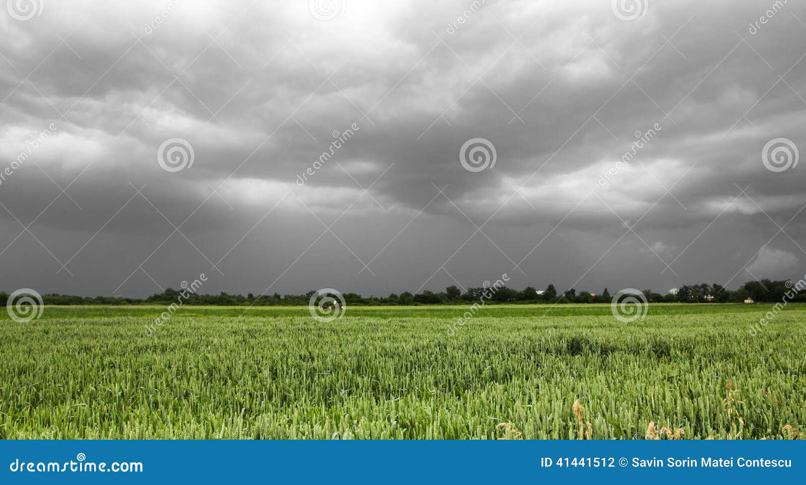 Green field and dark sky stock photo. Image of hill, panorama - 41441512