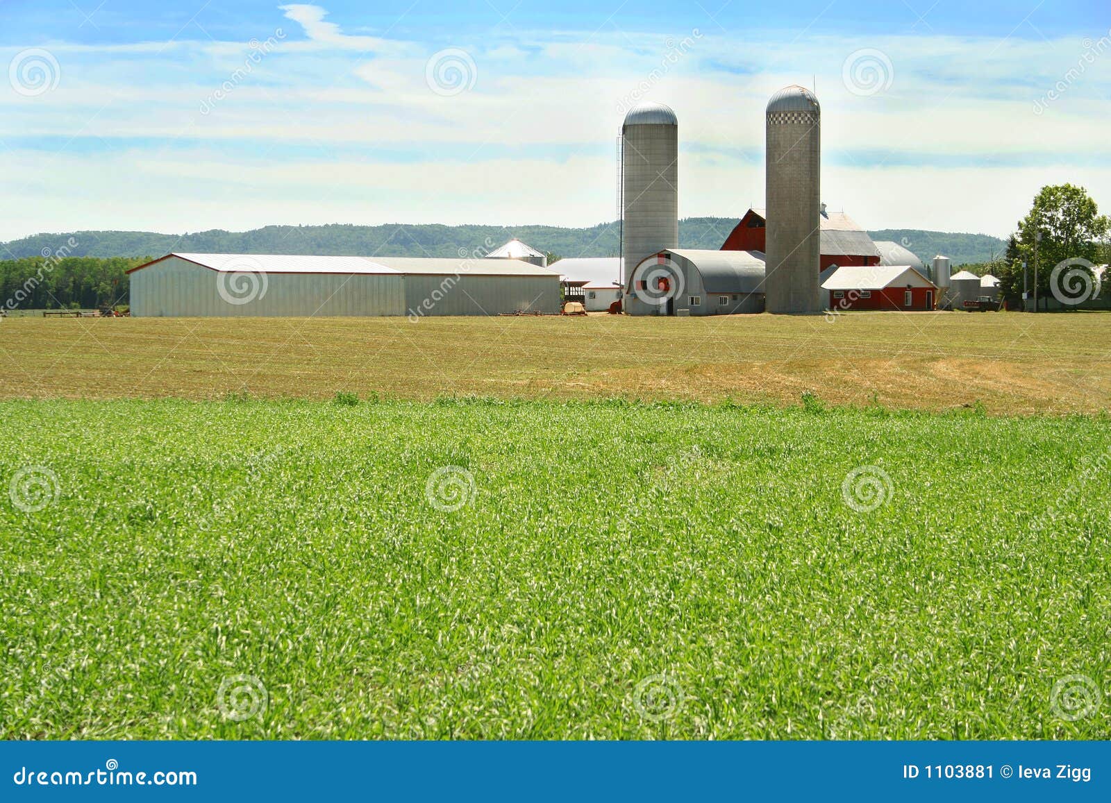 Green field and farm stock image. Image of blue, pasture - 1103881