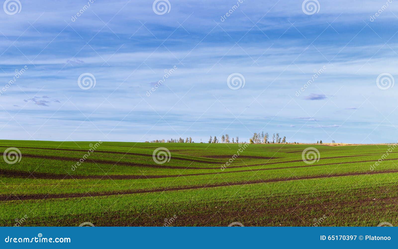 Green field farm. stock image. Image of lawn, landscape - 65170397