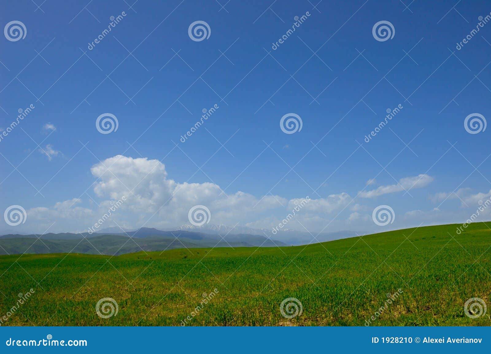 Green field with flowers stock photo. Image of roads, colors - 1928210