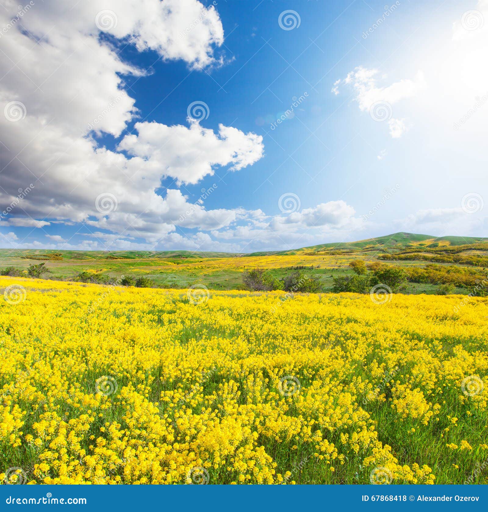 Green Field with Flowers Under Blue Cloudy Sky Stock Photo - Image of ...
