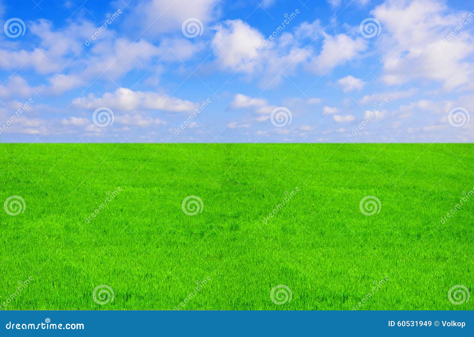 Green Field Grass Blue Sky Sun Daylight Stock Image - Image of daylight ...