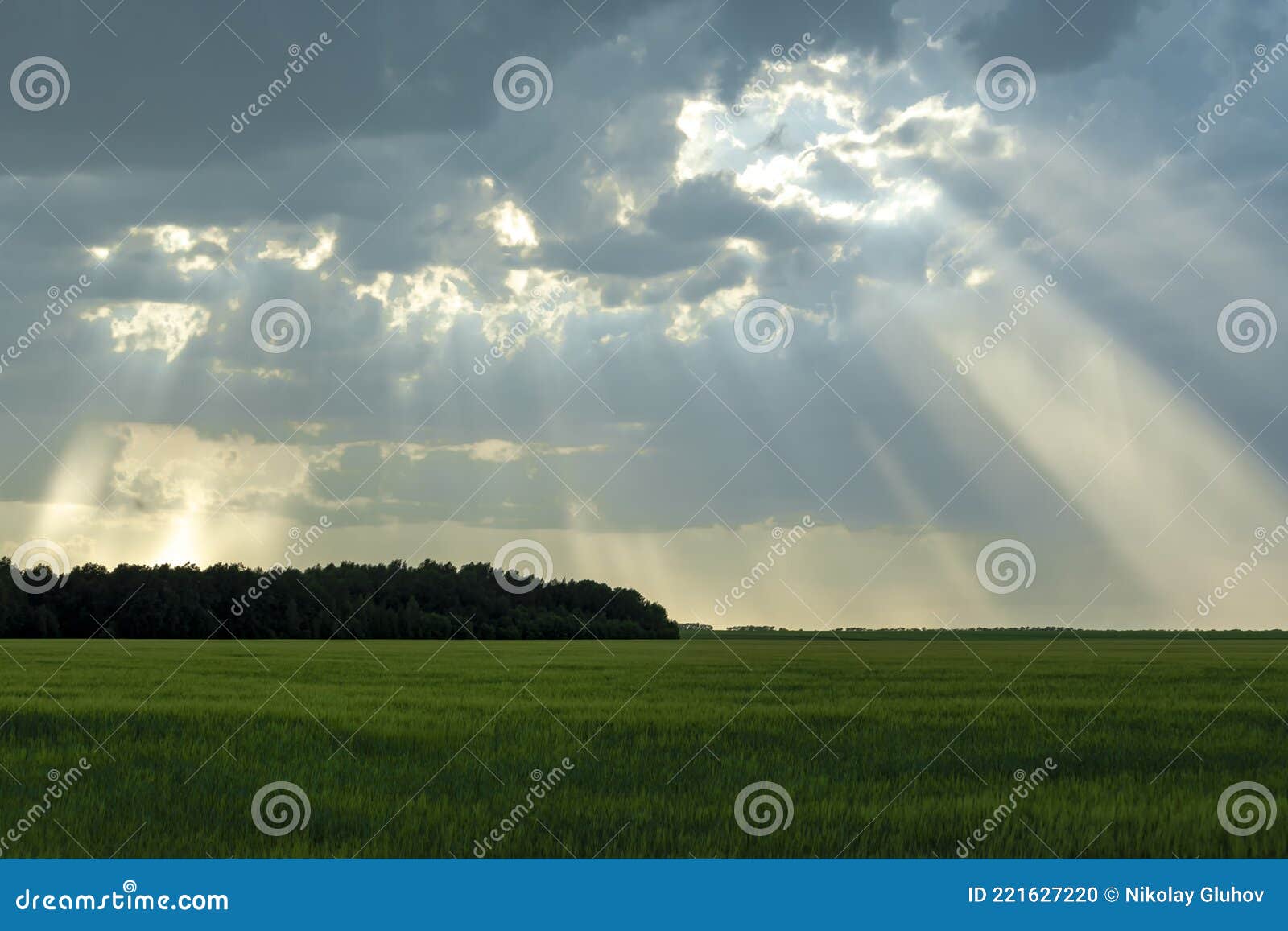 Green Field of Grass with Heavy Rain Clouds and Sunshine View Stock ...