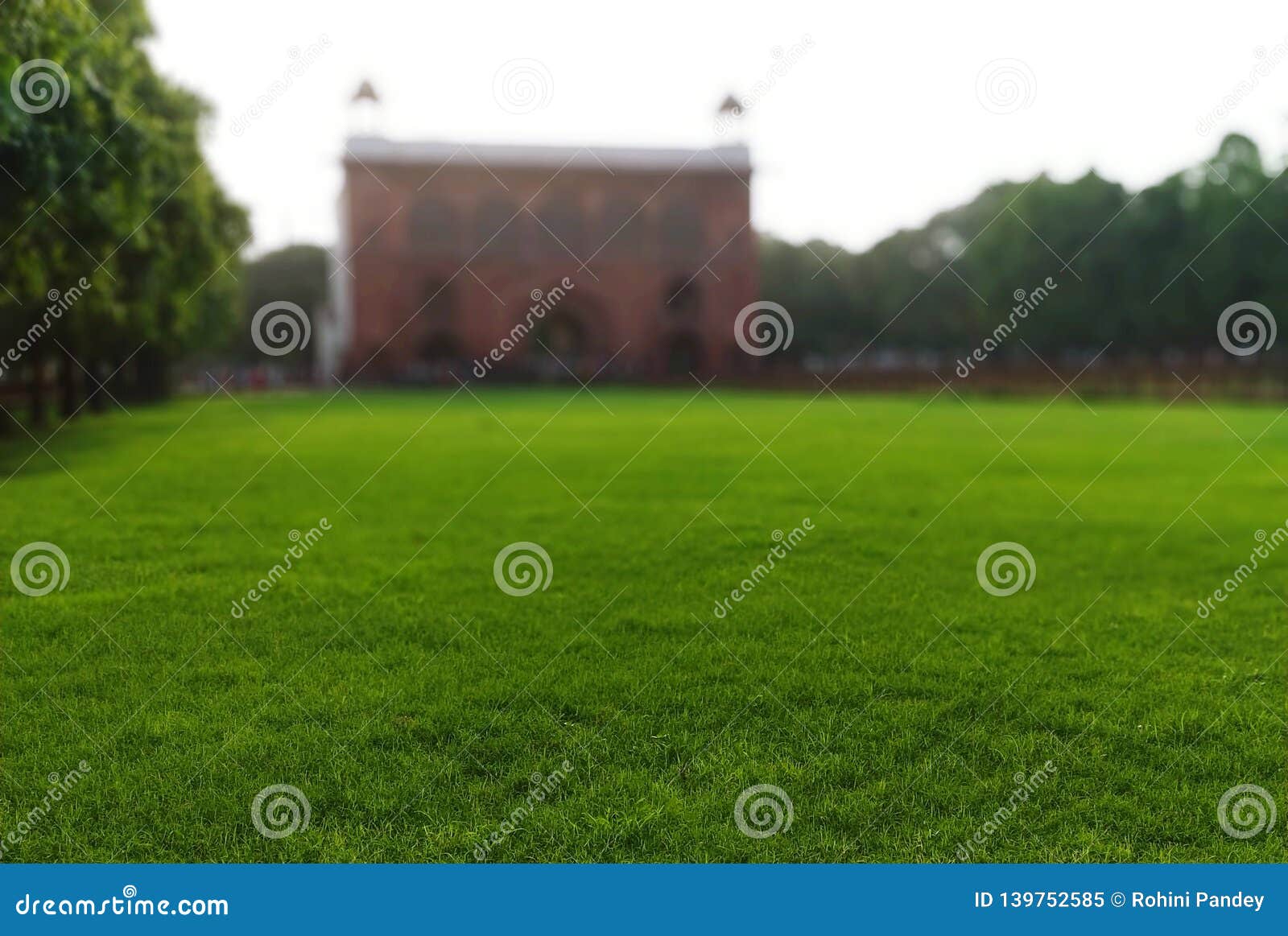 Green field stock image. Image of green, ground, grass - 139752585