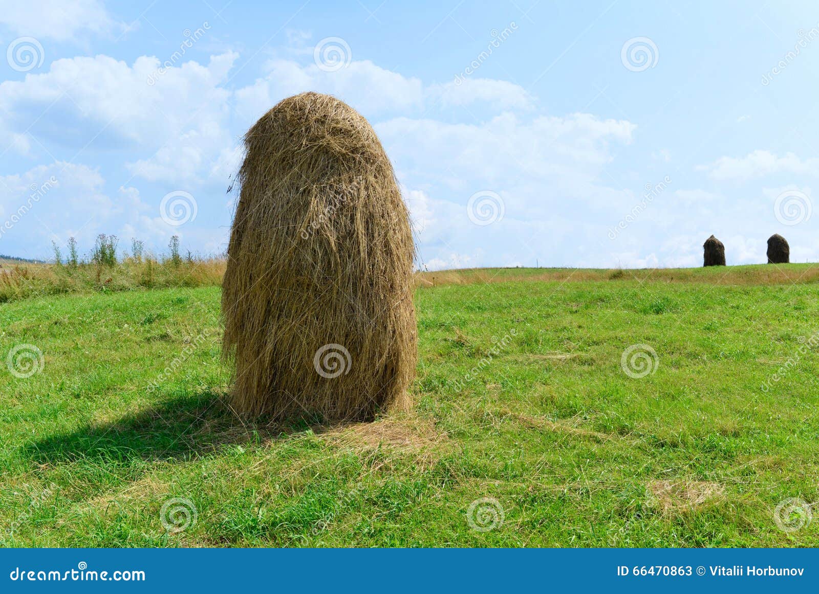 Green field with heyrick stock image. Image of natural - 66470863