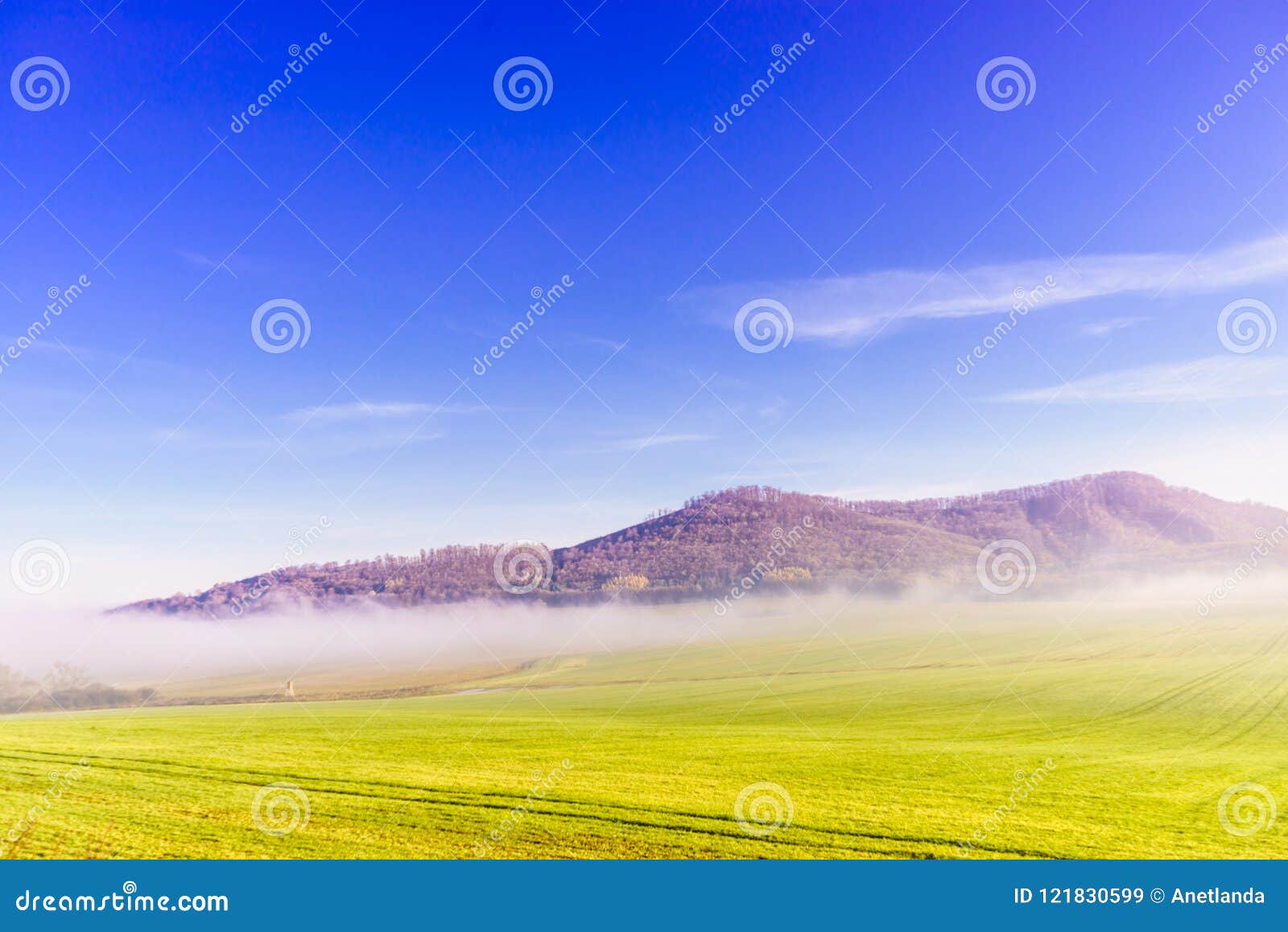 Green Field and Hill Landscape Stock Image - Image of growth, wheat ...