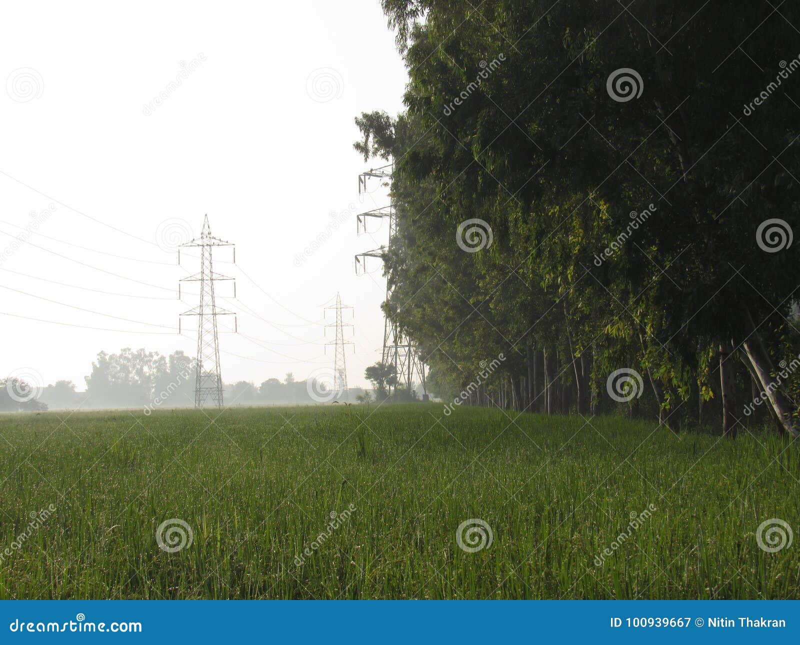 Green Field stock image. Image of fields, green, indian - 100939667