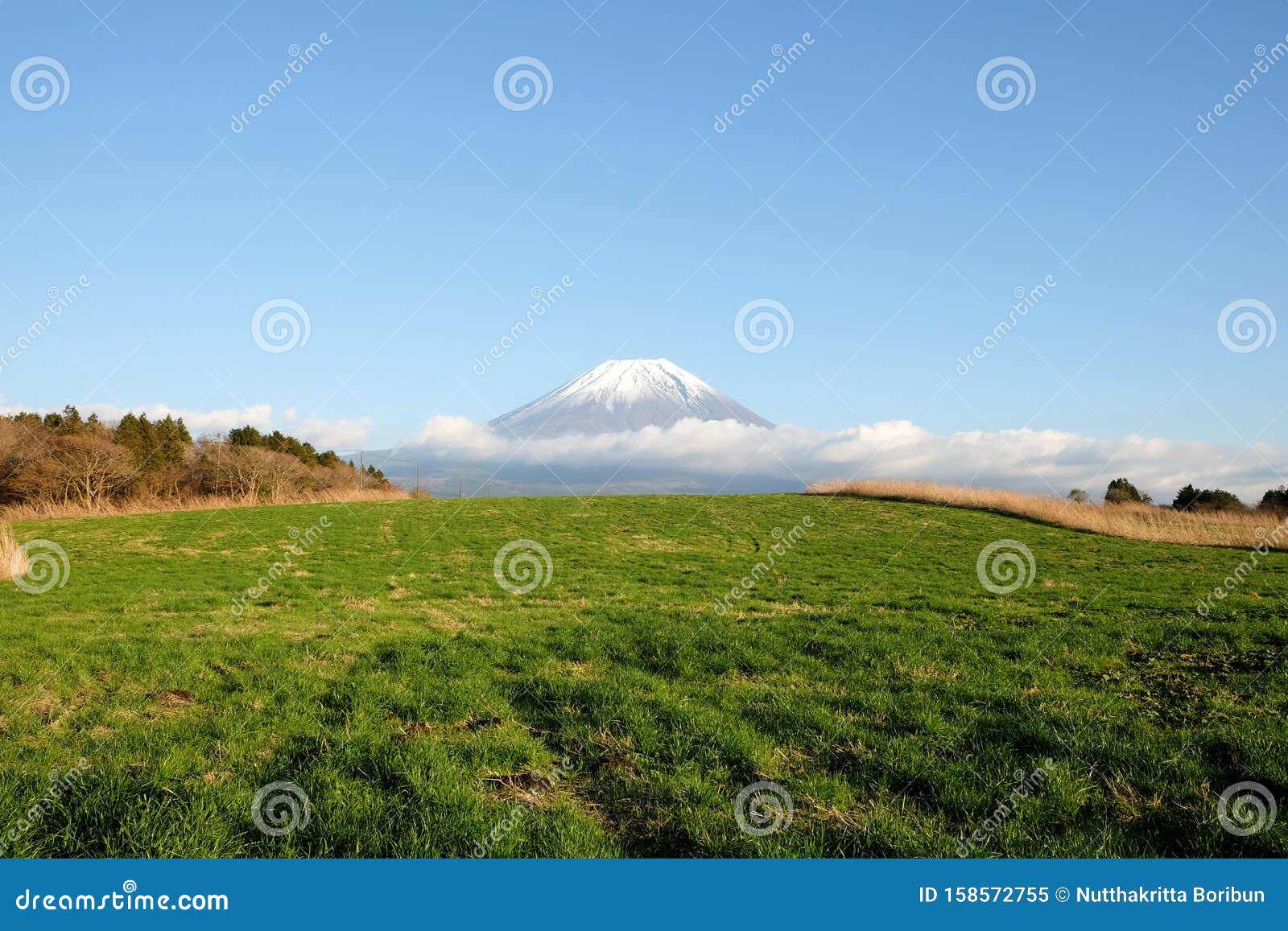 The green field in Japan stock image. Image of fujiyoshida - 158572755