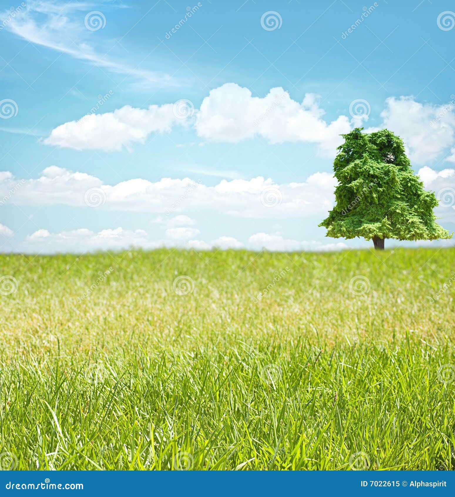 Green field landscape stock image. Image of land, outdoor - 7022615